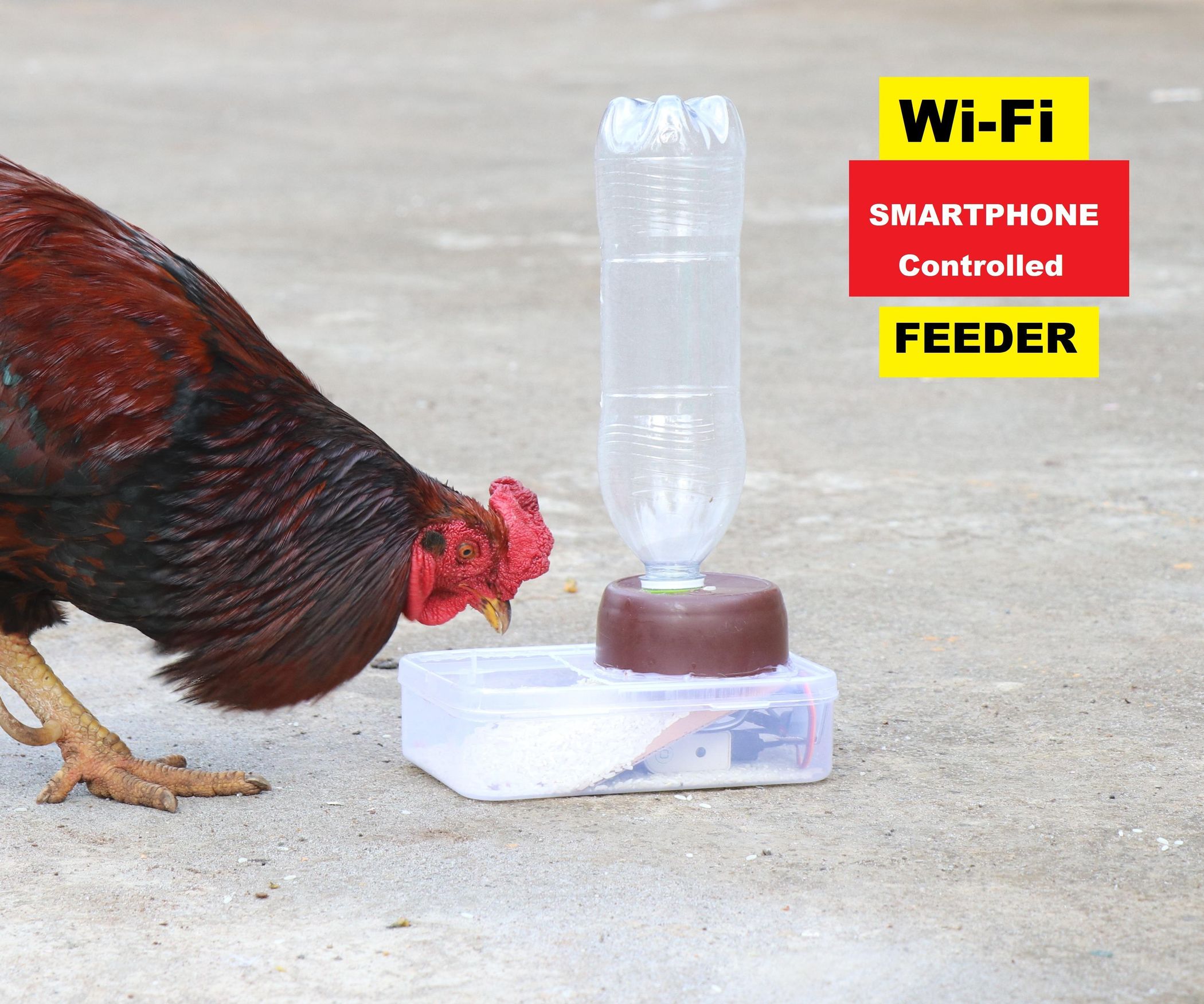 DIY Smartphone Controlled Chicken Feeder : 7 Steps (with Pictures ...