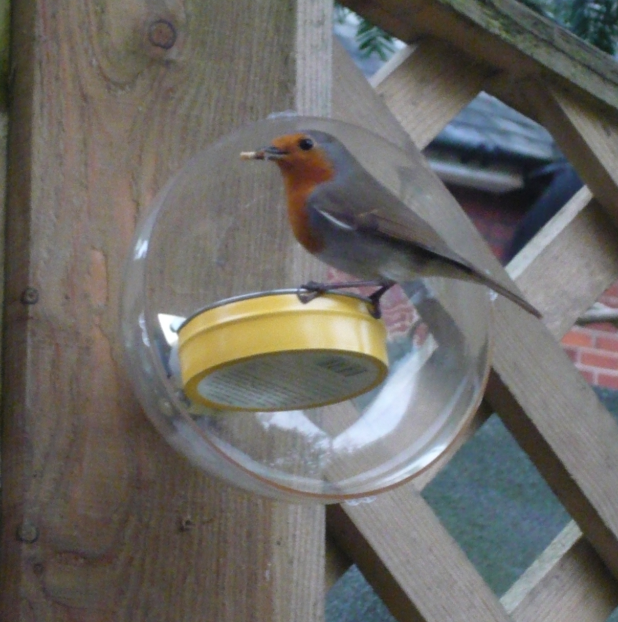 Small Simple Horizontally Mounted Squirrel Resistant/proof Bird Feeder ...