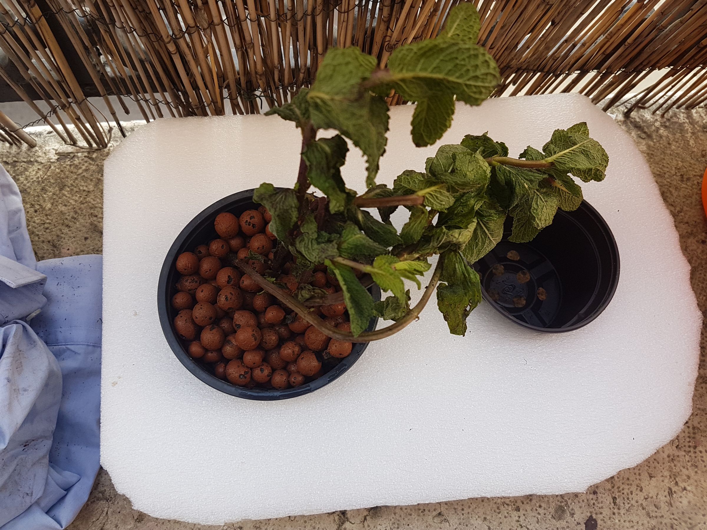 First Timer Hydroponics: the Raft System : 8 Steps (with Pictures ...
