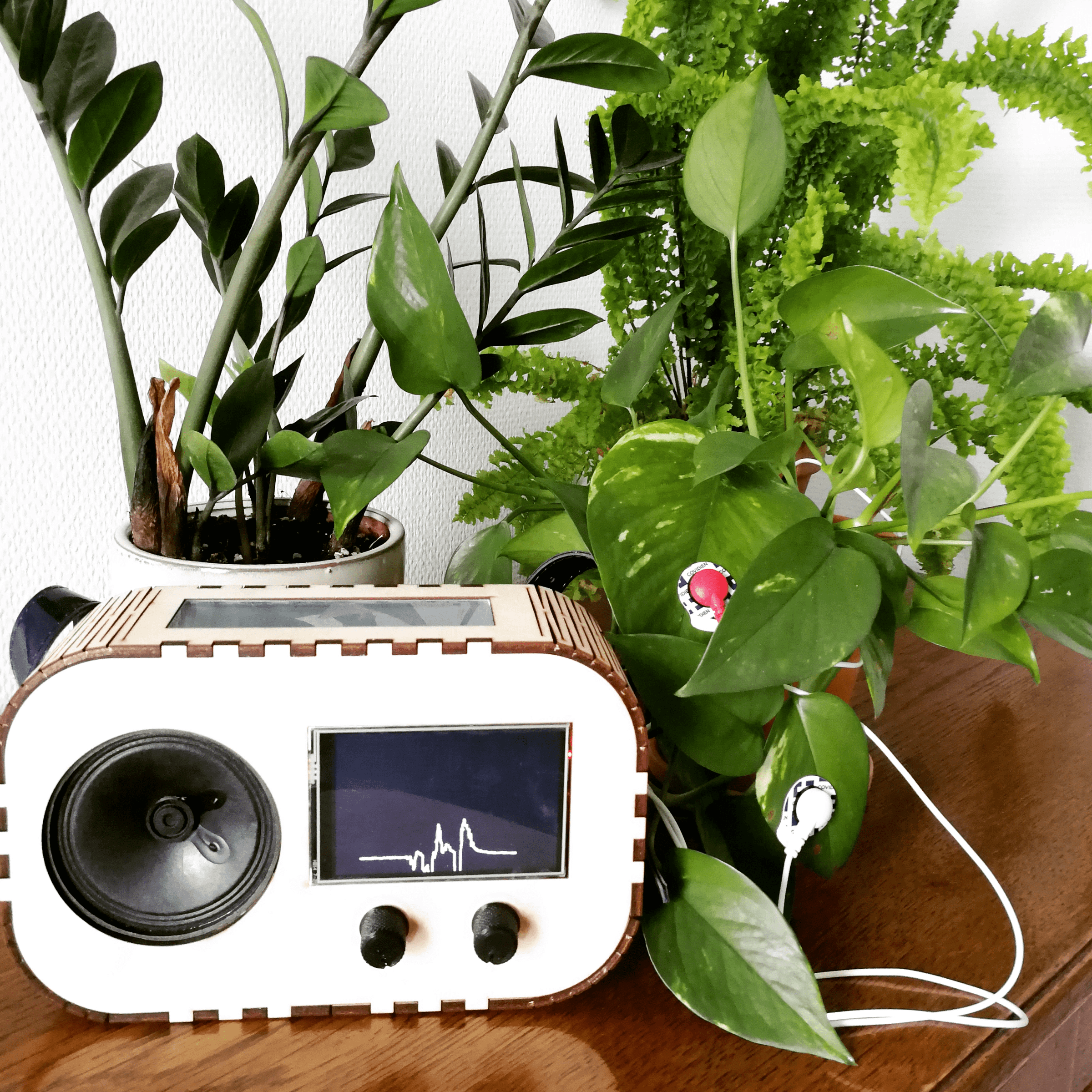 Plant-radio : 9 Steps (with Pictures) - Instructables