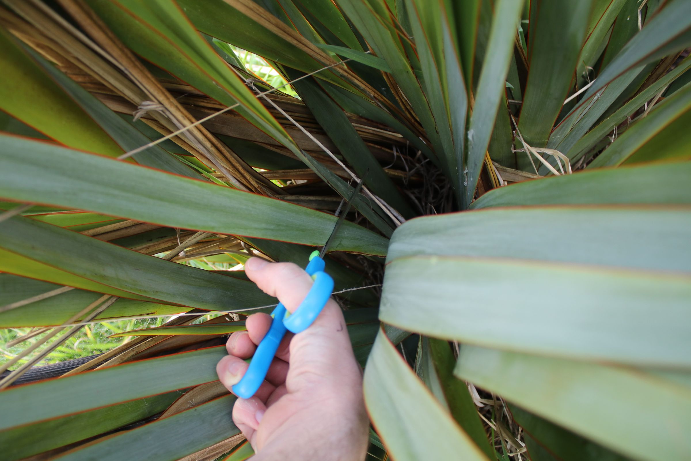 How to Carve a Flax Boat : 10 Steps (with Pictures) - Instructables