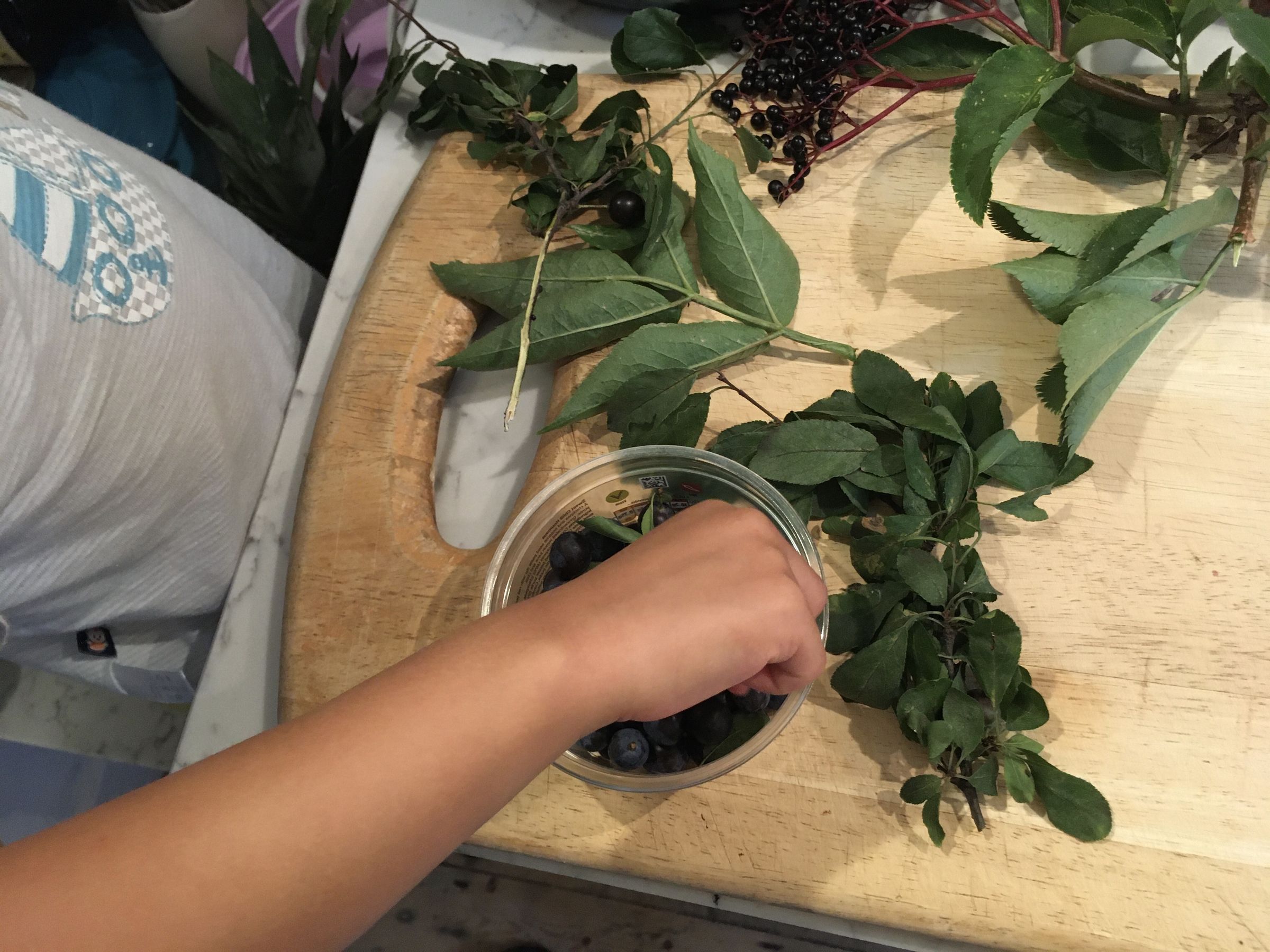 Home Made Ink From Nature: Perfect Purples : 18 Steps (with Pictures ...