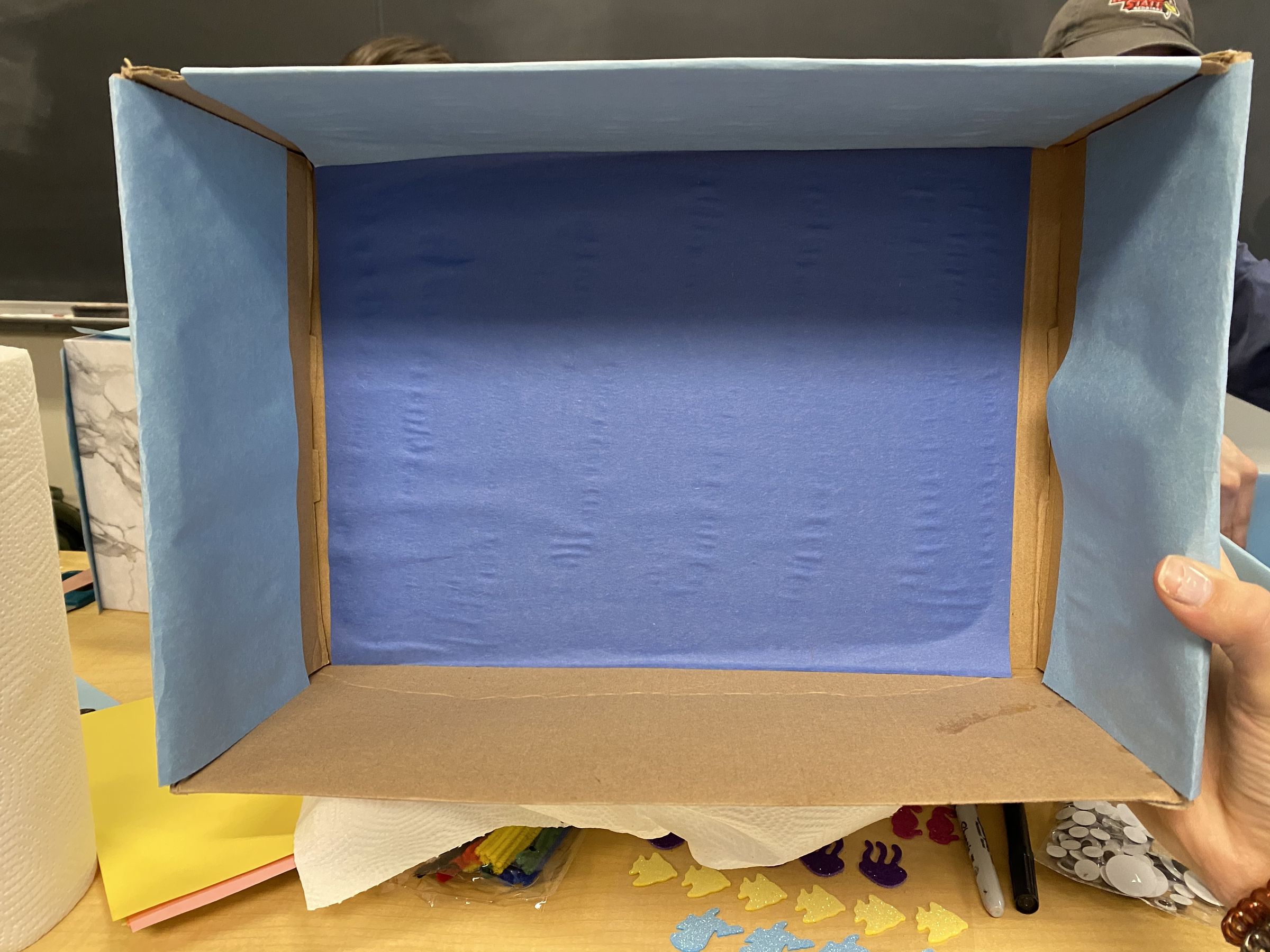 The Shoebox Aquarium : 10 Steps - Instructables