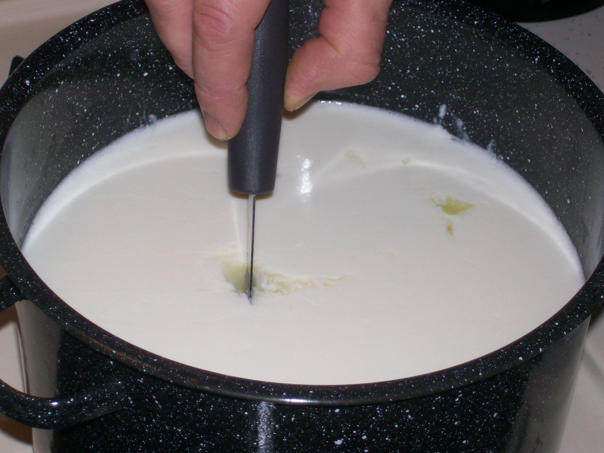 How to Make Great Fresh Mozzarella Cheese : 19 Steps (with Pictures ...