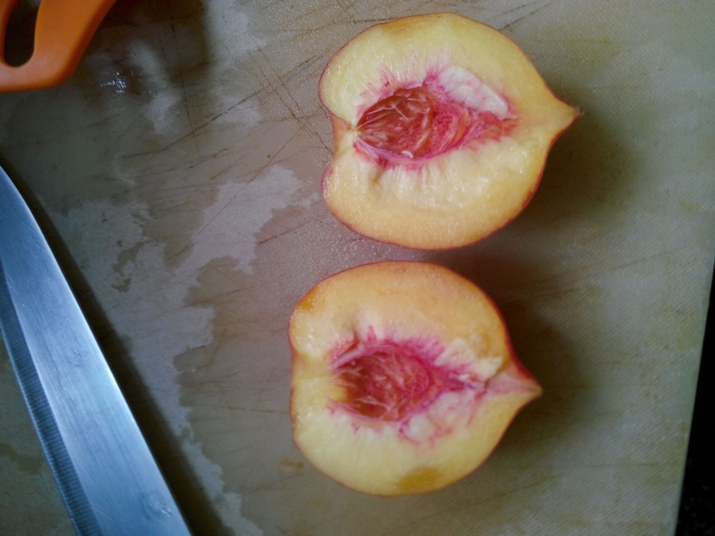 Pakistani Fruit Chaat (salad) With Chaat Masala ( Recipe Included) : 8 ...