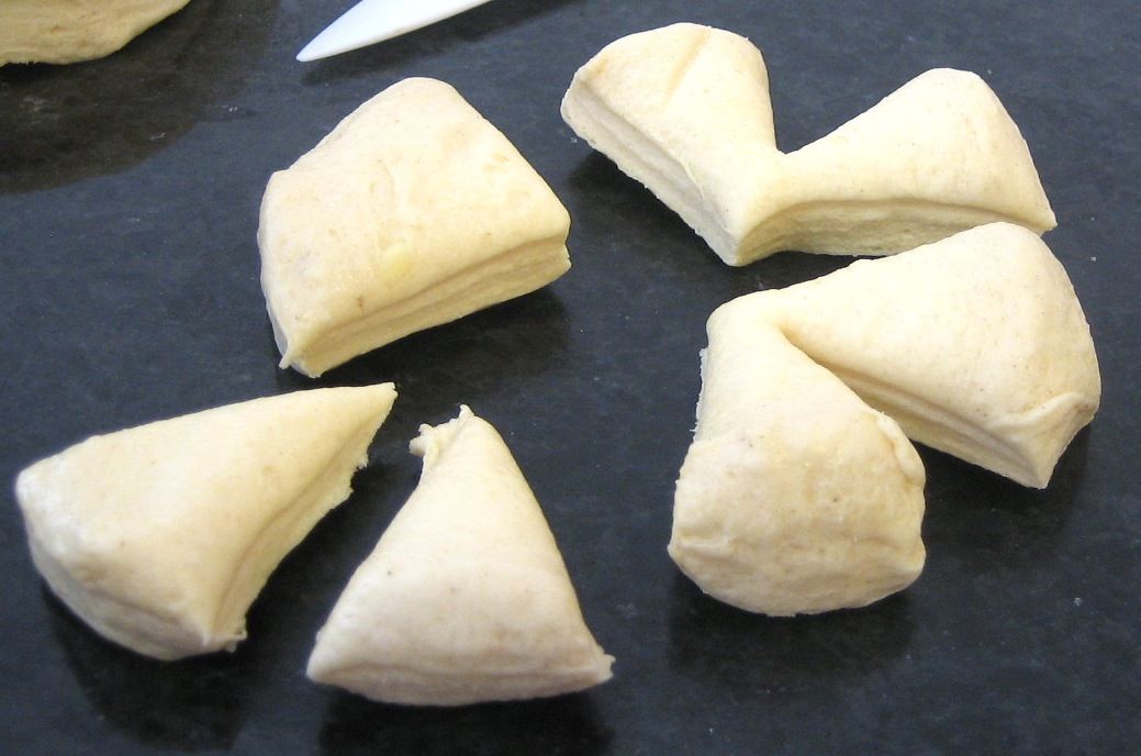 Turtle Biscuits (with Pictures) - Instructables