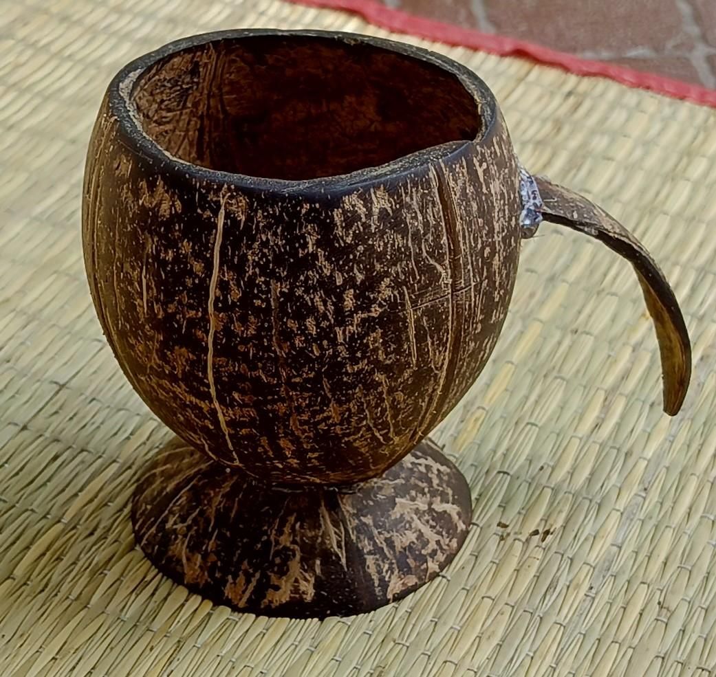 How to Recycle Discarded Coconut Shells : 7 Steps - Instructables