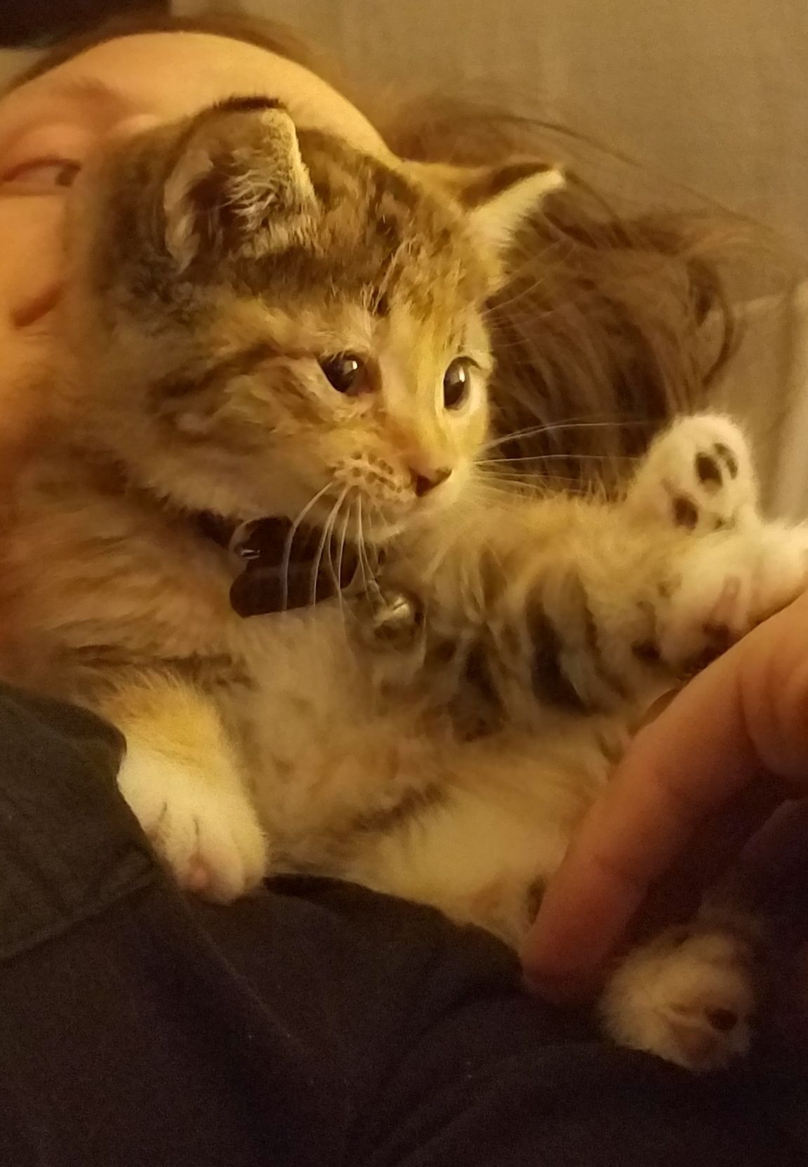 Minecraft Command Block Tutorial 1: Starter Kit : 3 Steps - Instructables