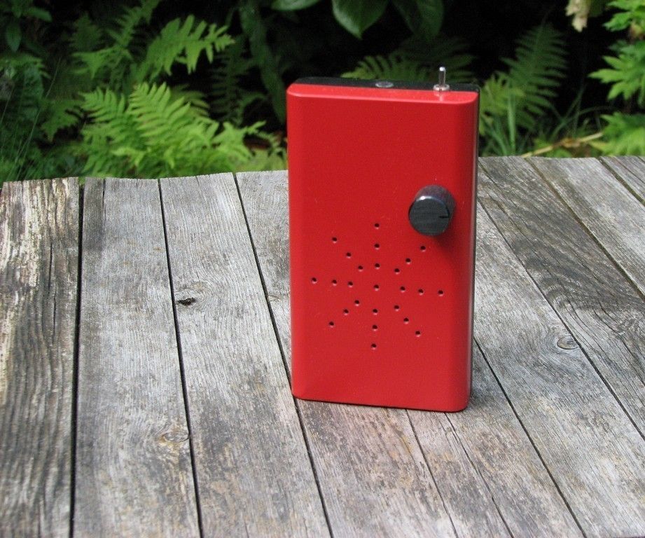 Bat Detector : 6 Steps (with Pictures) - Instructables