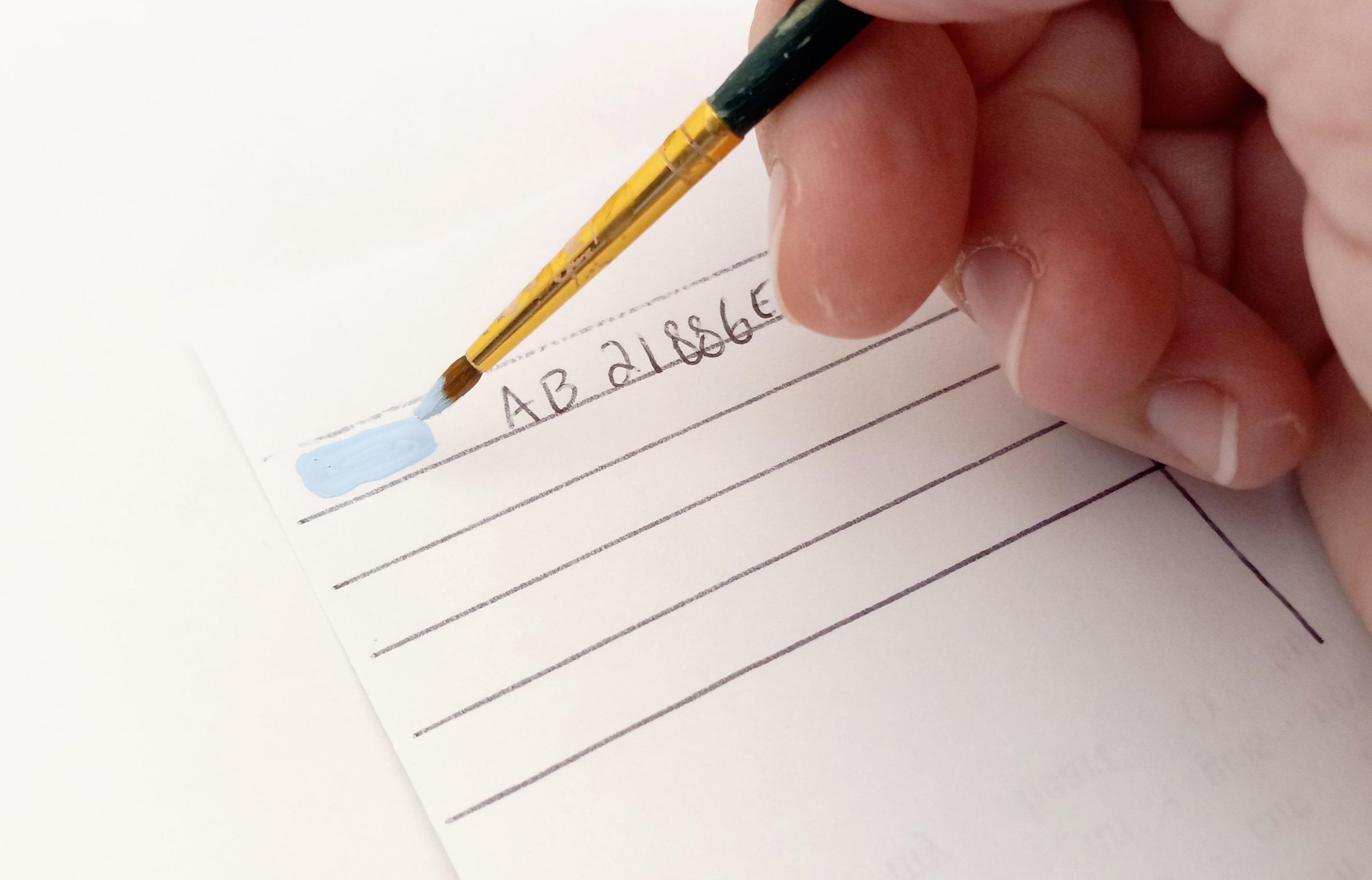 Never Use the Wrong Color: How to Organize Paint : 7 Steps (with ...