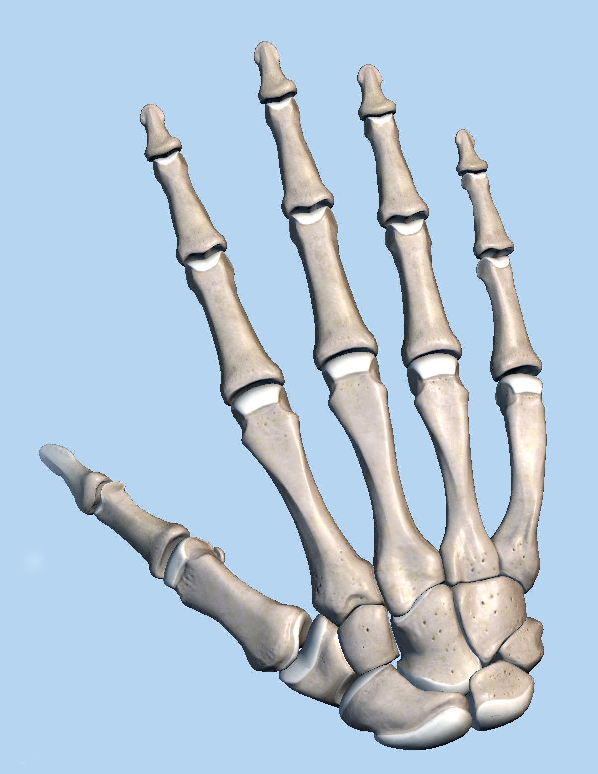 3D Printed Bionic Hand Skeleton : 8 Steps (with Pictures) - Instructables