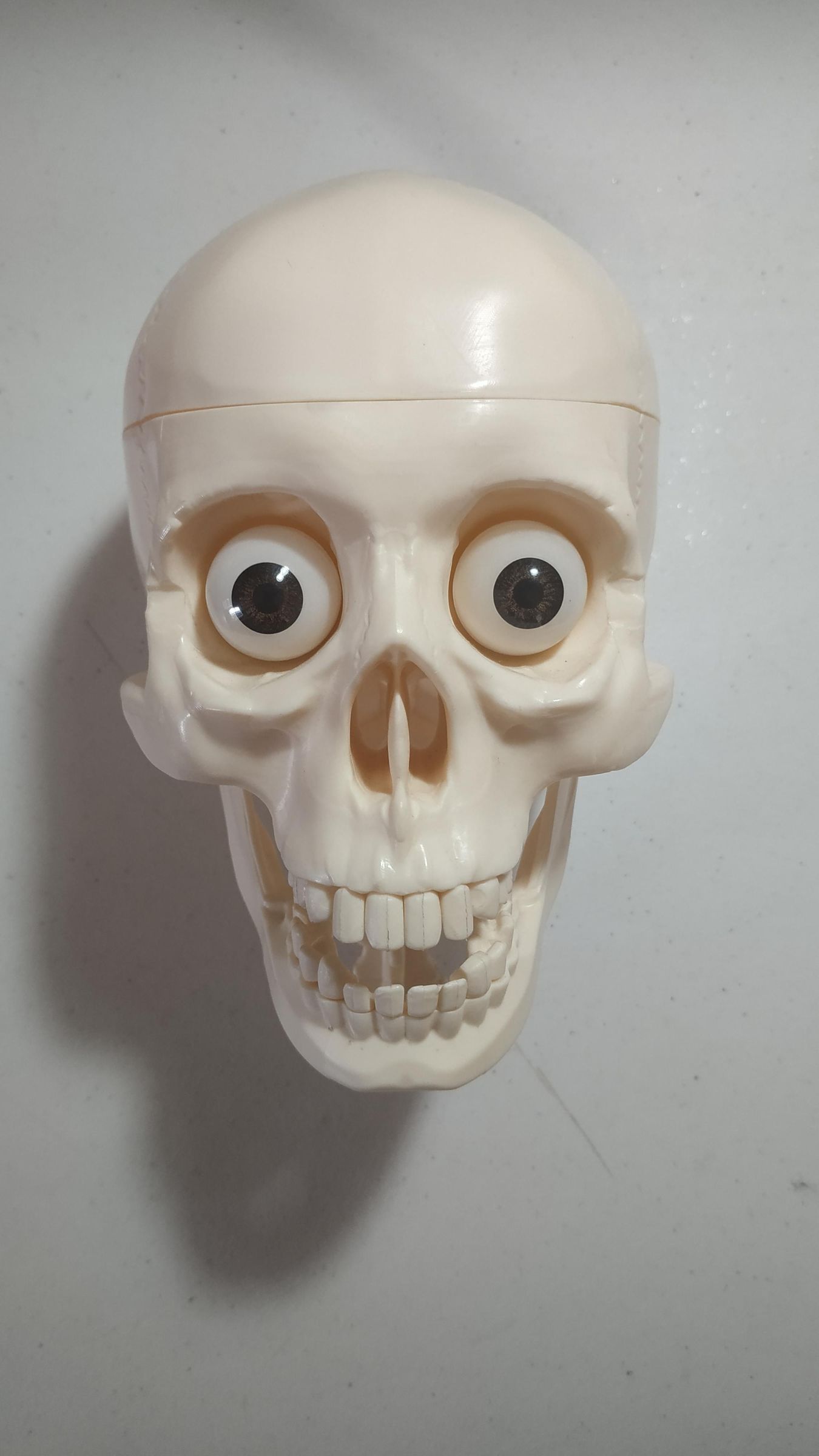 Animatronic Skull With Arduino : 7 Steps (with Pictures) - Instructables