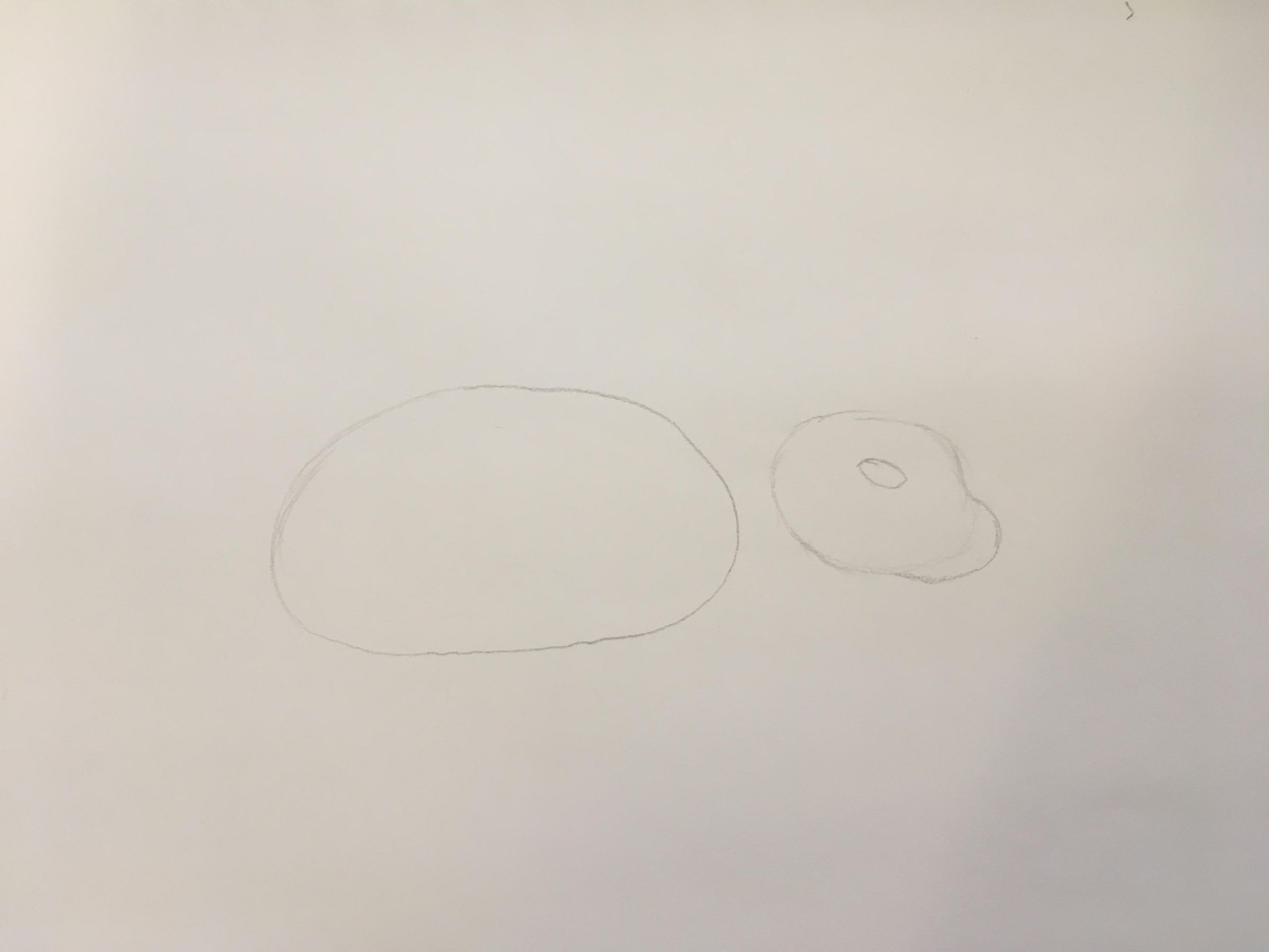 How to Draw a Realistic Bunny (standing) : 26 Steps - Instructables