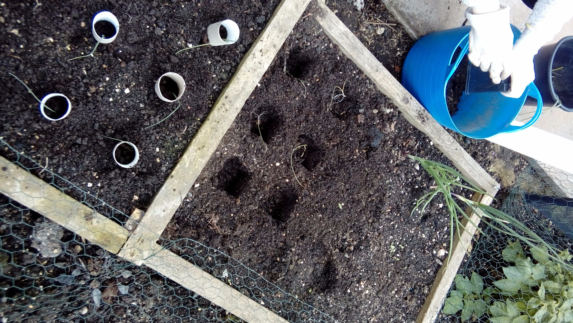 Easy Planting : 3 Steps (with Pictures) - Instructables