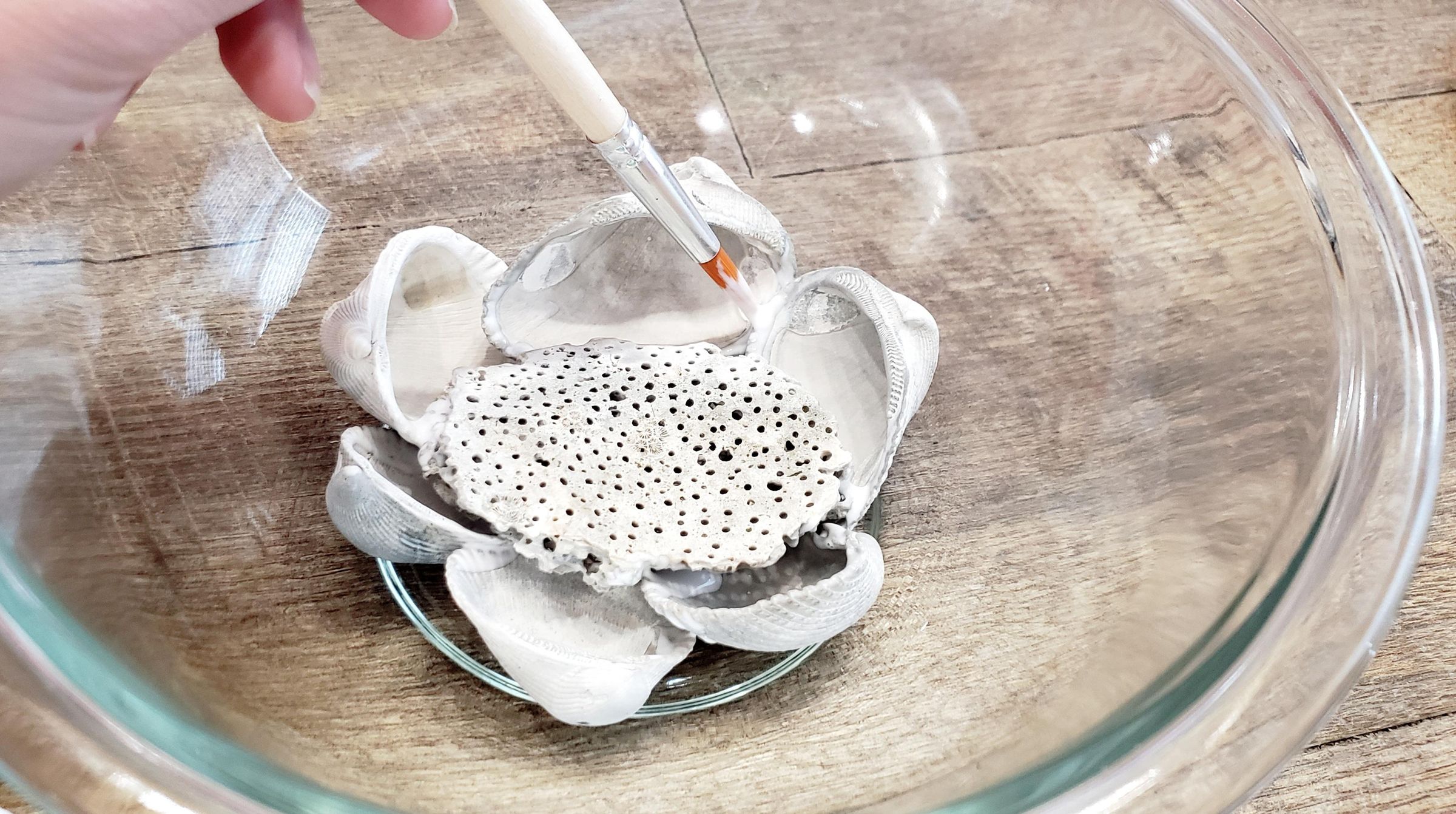 Vacation Memento Shell Bowl : 4 Steps (with Pictures) - Instructables