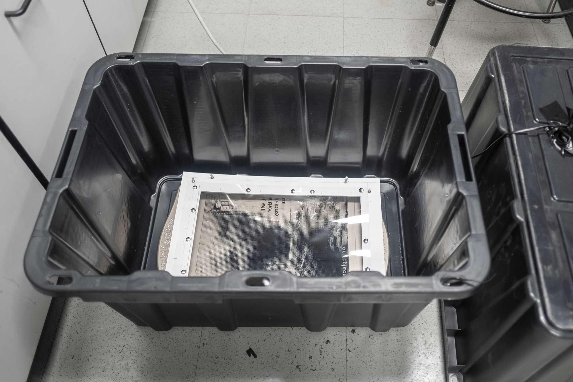 Mycographs : 8 Steps (with Pictures) - Instructables