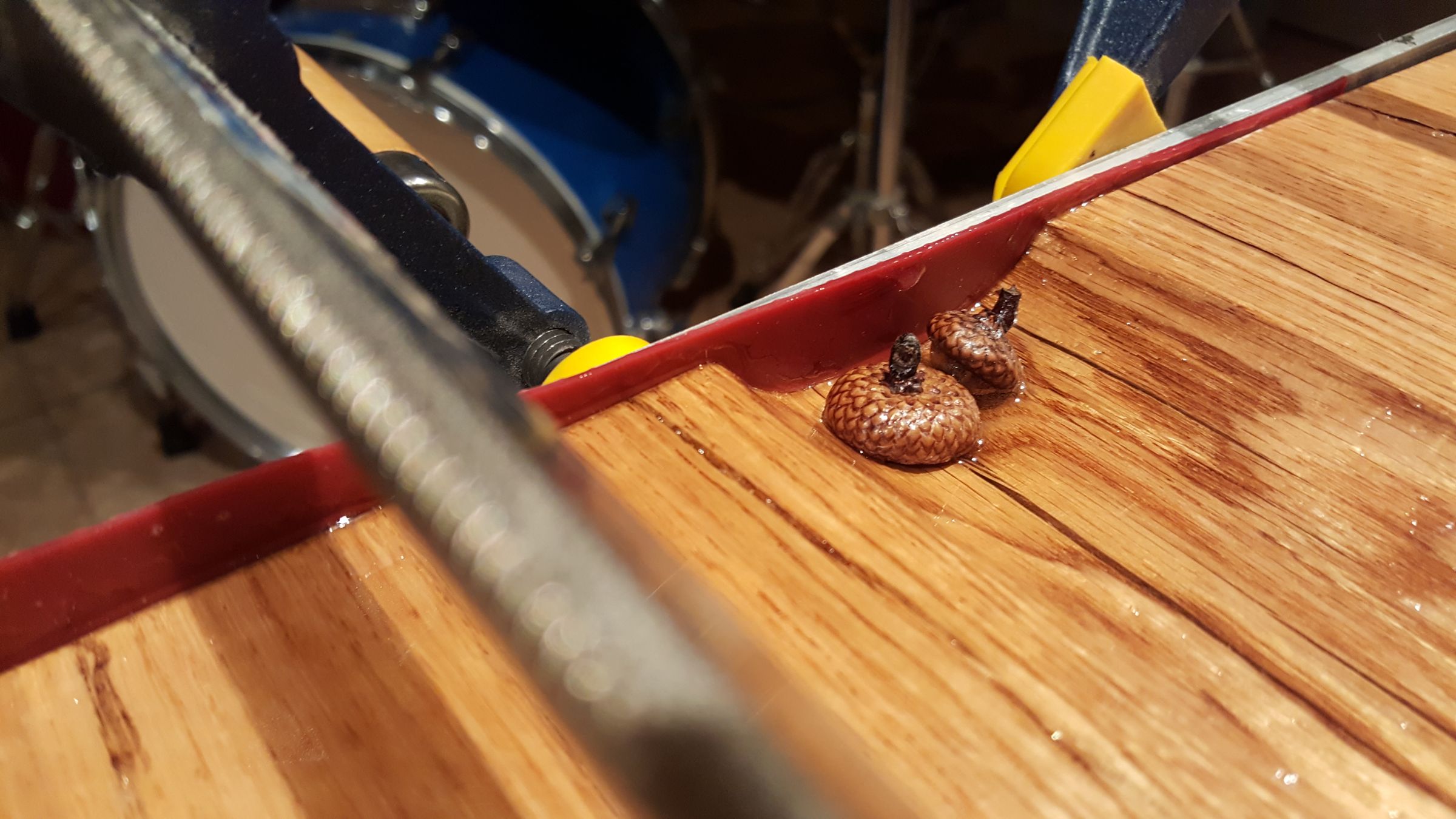 Natural Wood Bench : 8 Steps (with Pictures) - Instructables