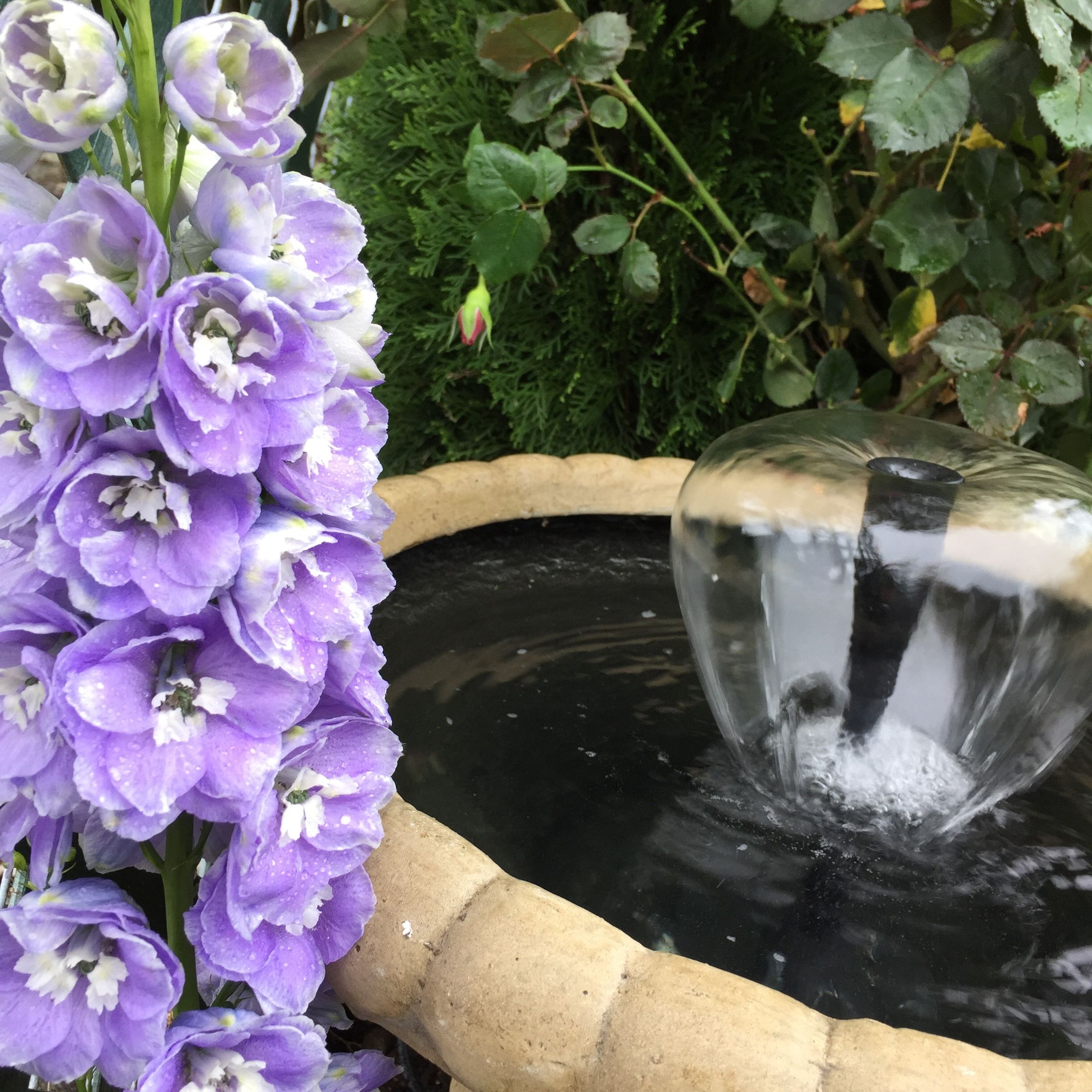 Secret Garden : 9 Steps (with Pictures) - Instructables