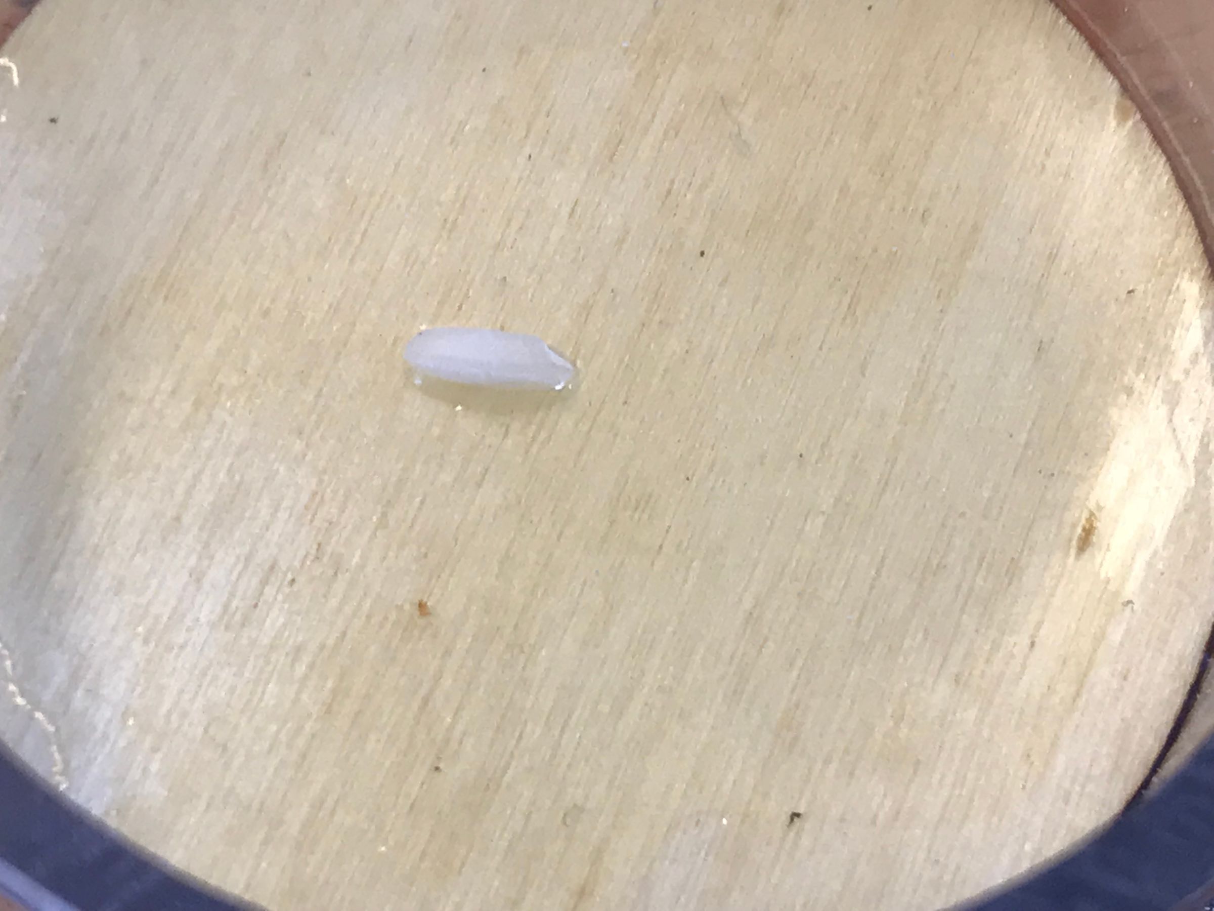 Chess Board With Rice: Exponential Growth : 11 Steps (with Pictures ...