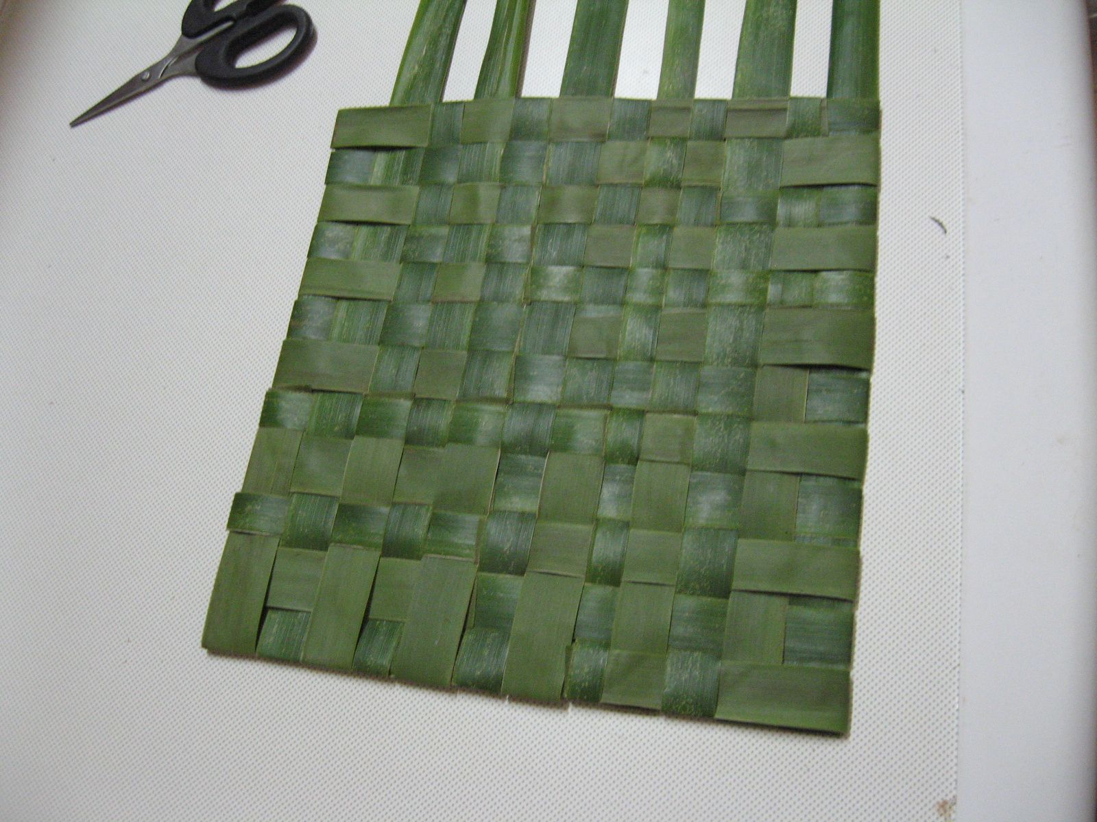 How to Weave a Small Mat From Coconut Leaves : 4 Steps (with Pictures ...