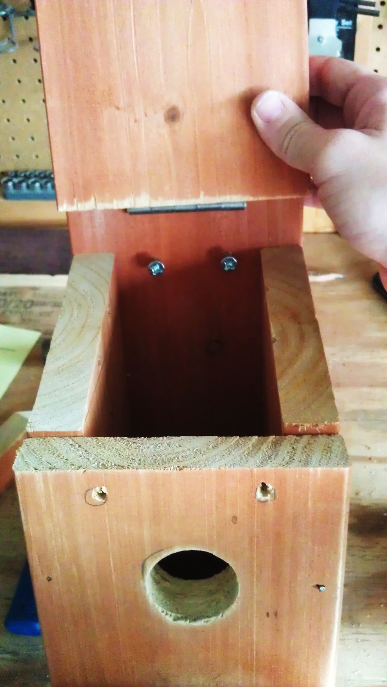 Bluebird House Plan - Instructables