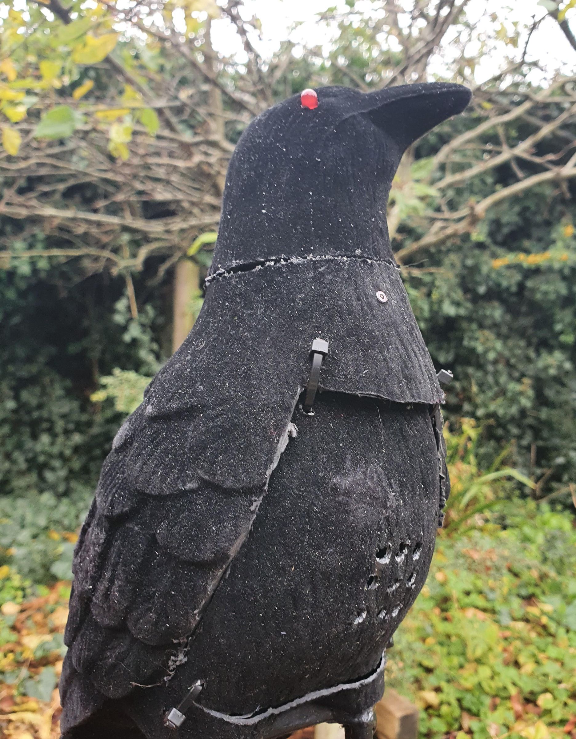 Raven Pi Security Camera : 7 Steps (with Pictures) - Instructables