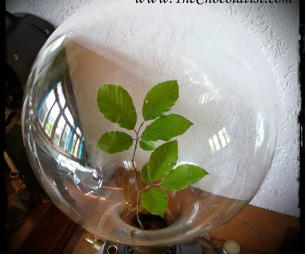 The STEAMPUNK Biosphere Model 1876 : 3 Steps (with Pictures ...