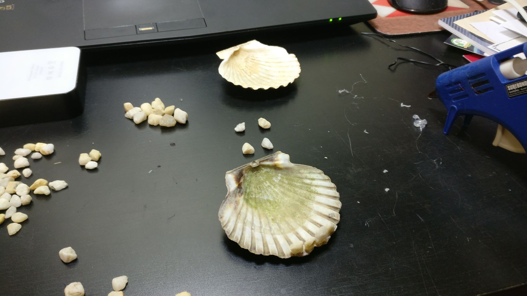 Toothy Shell Mouths : 4 Steps - Instructables