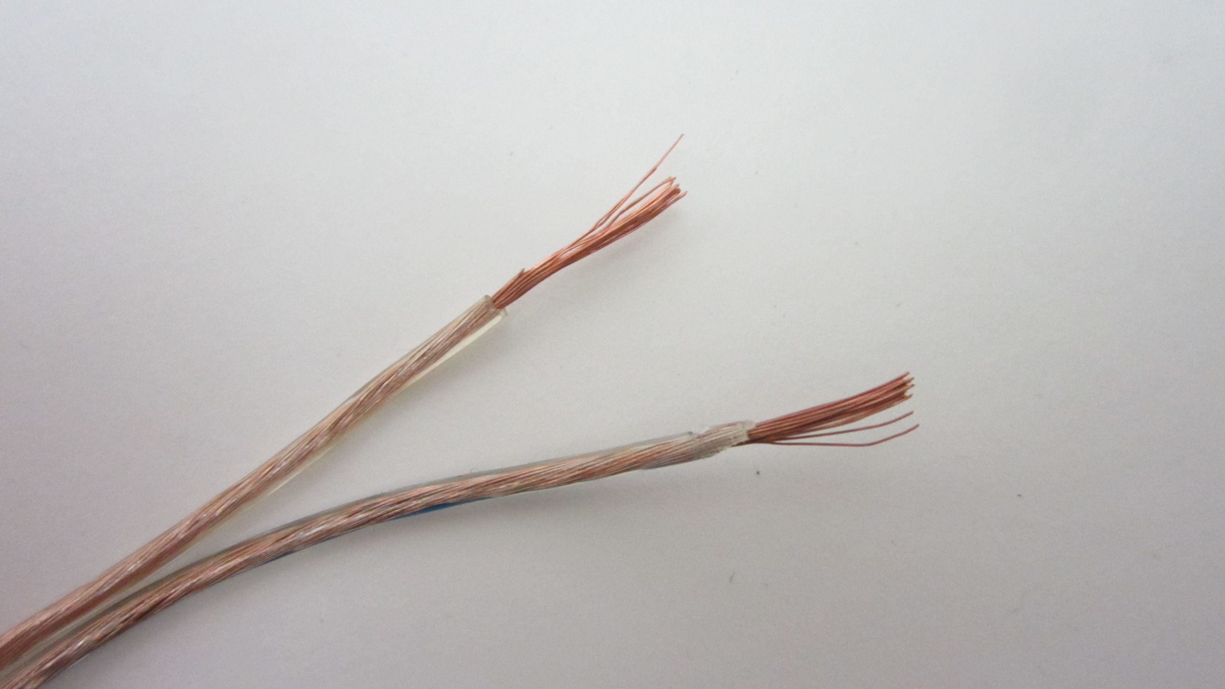 Use a DIY Pressure Plate Switch to Automate Your Haunted House : 9 ...