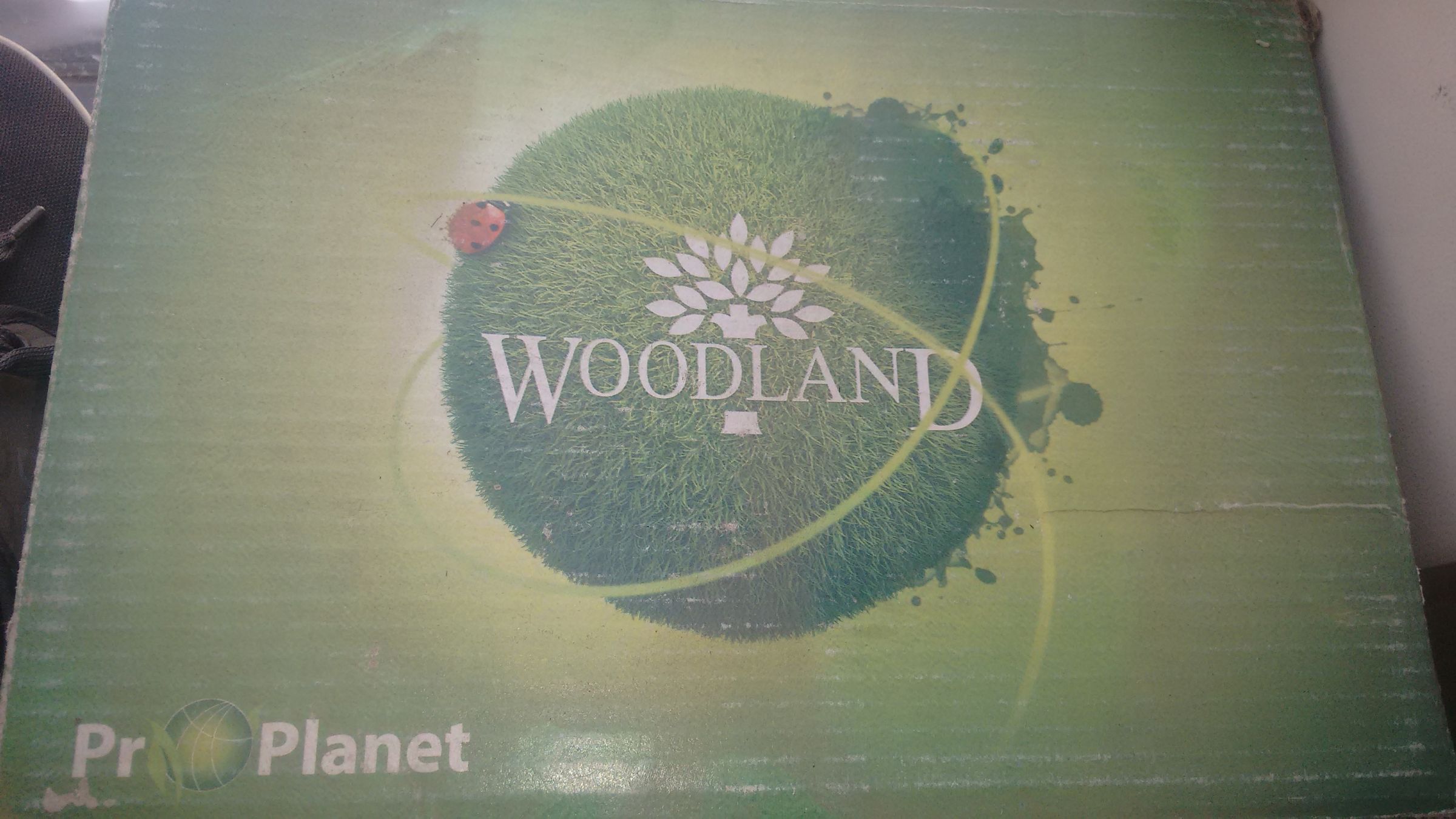 Cardboard Themed Landscape : 4 Steps (with Pictures) - Instructables