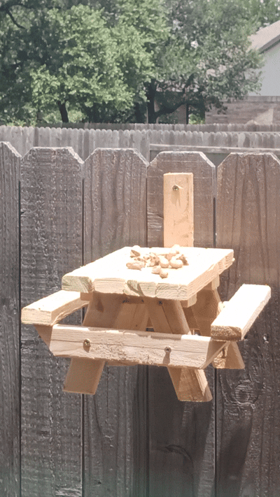 Squirrel / Bird Picnic Table : 12 Steps (with Pictures) - Instructables