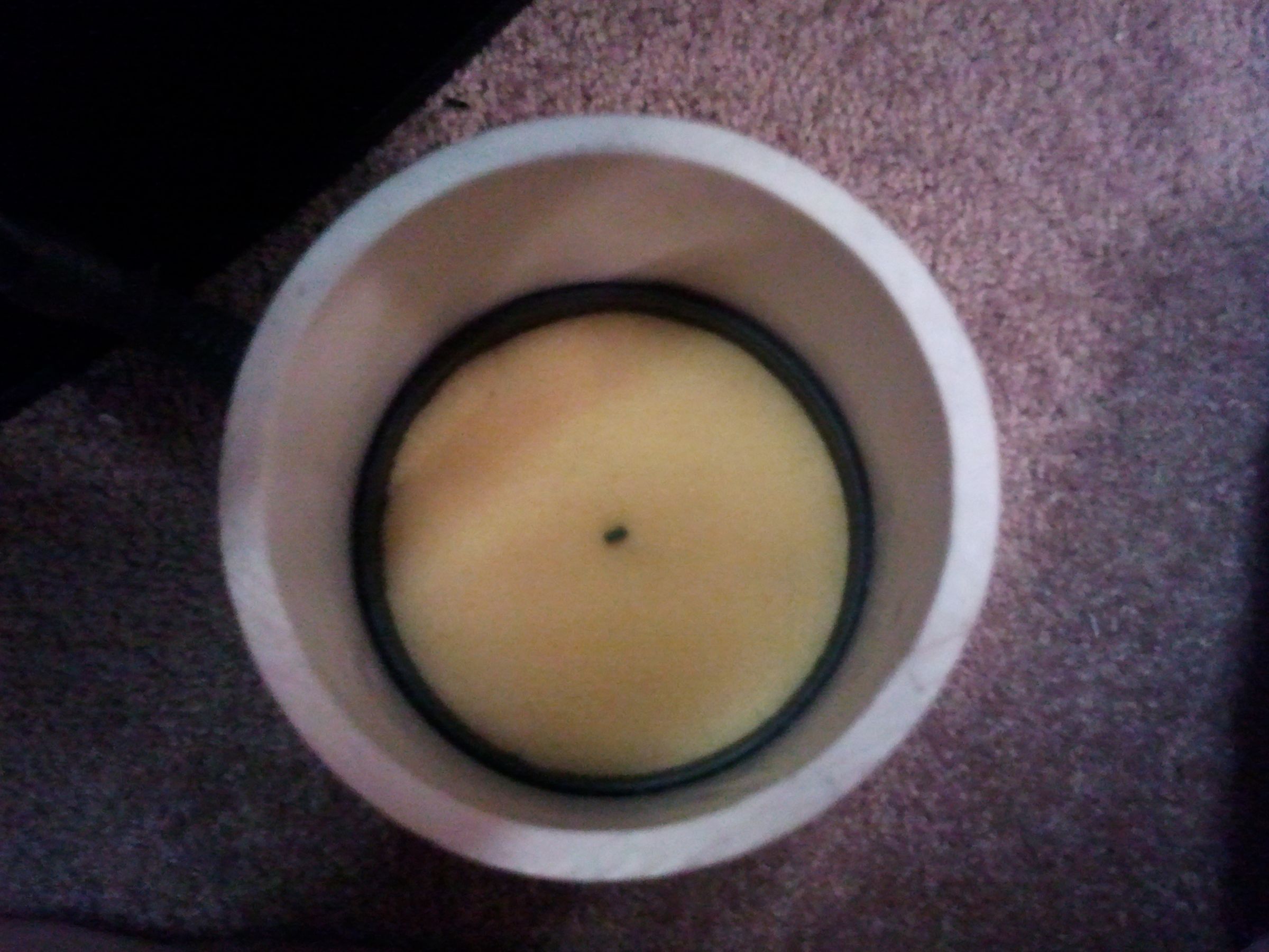 DIY Aquarium Canister Filter : 5 Steps - Instructables