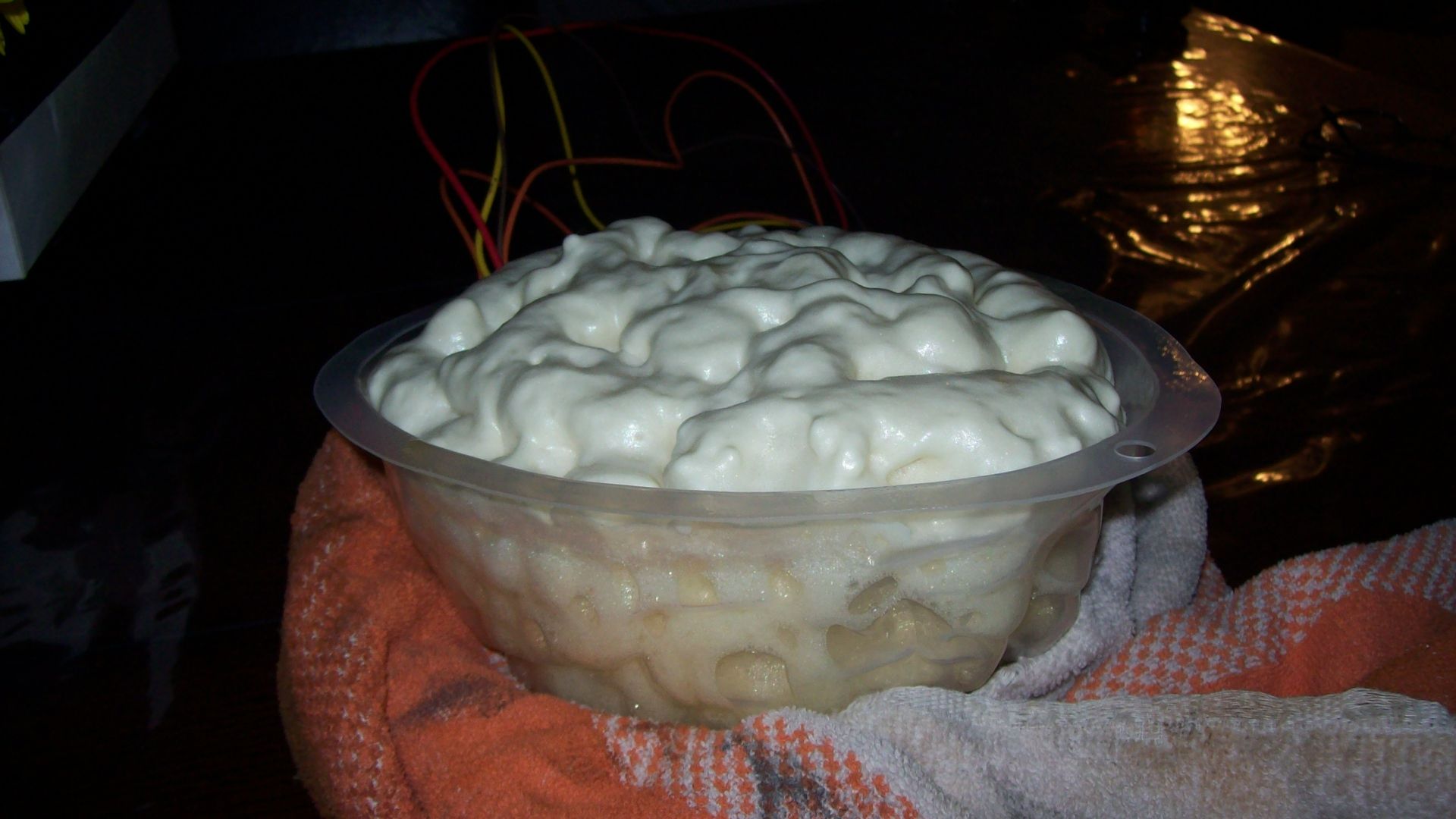 Brain in a Jar! : 12 Steps - Instructables