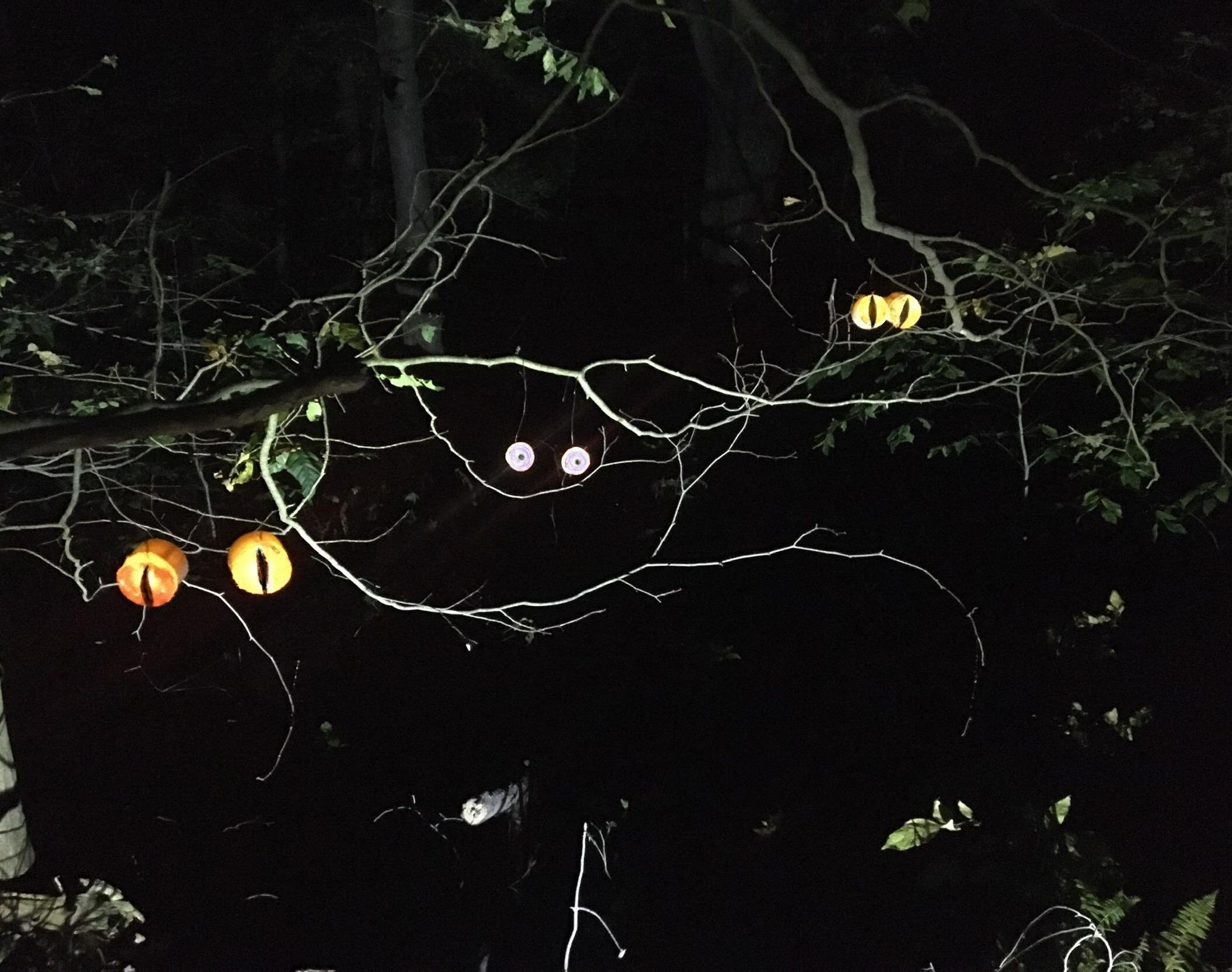 Spooky Light Up Eyes : 3 Steps (with Pictures) - Instructables