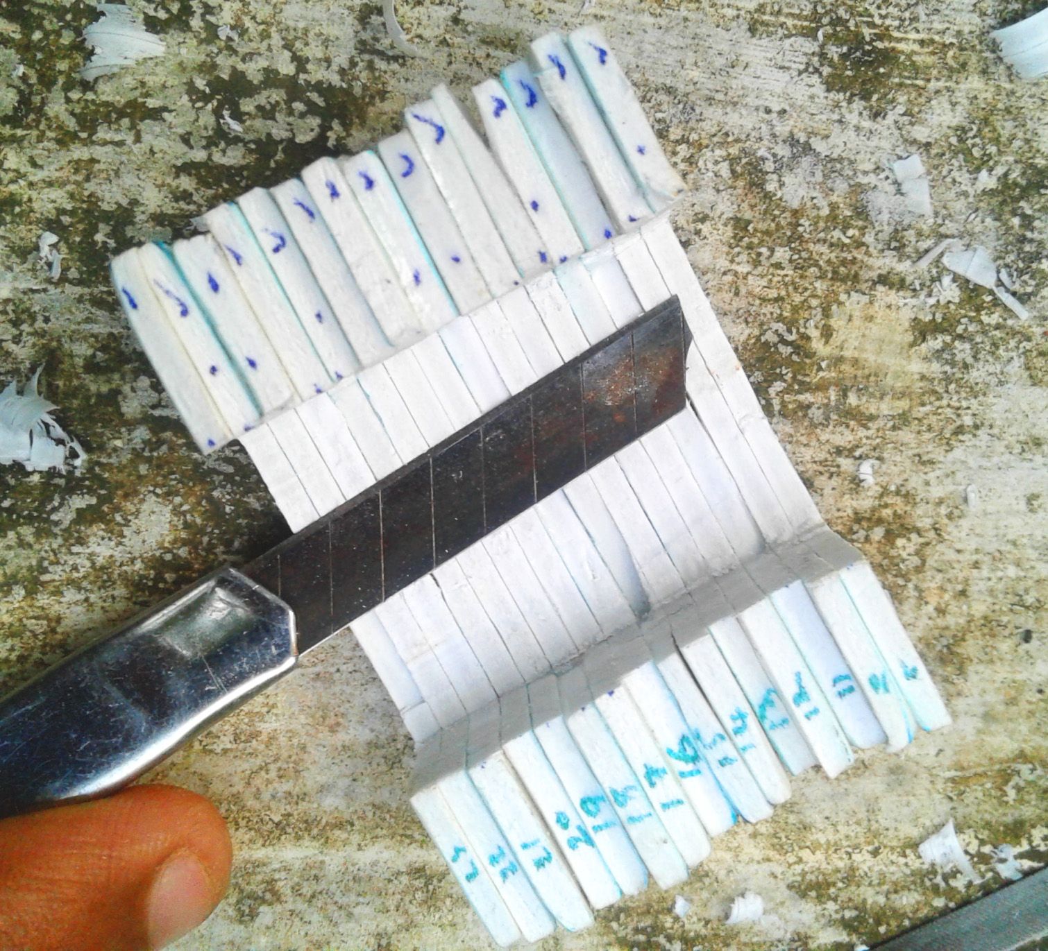 Working "MEGA 555" : 32 Steps (with Pictures) - Instructables