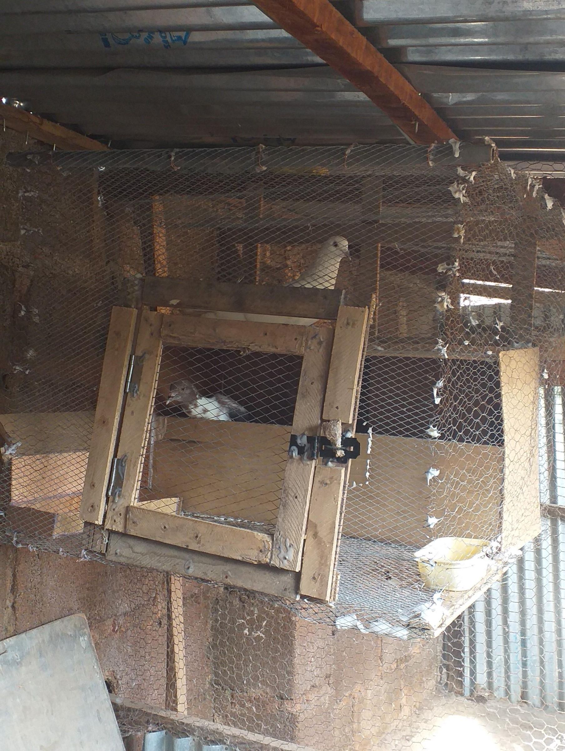Pigeon House : 8 Steps (with Pictures) - Instructables