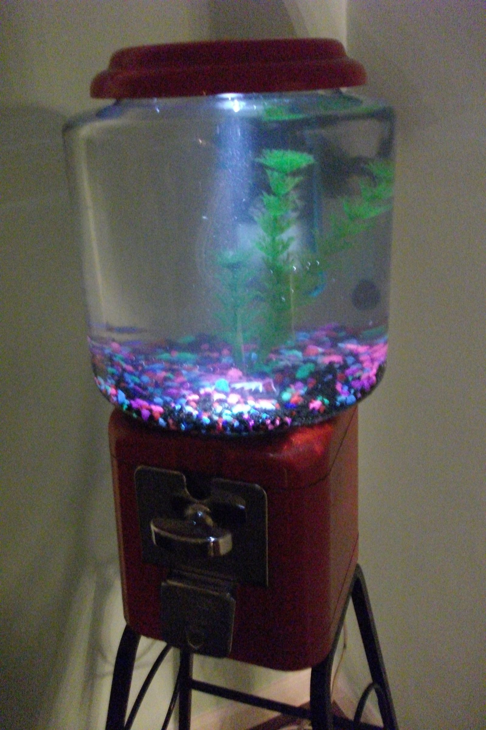 Gumball Machine Fish Tank : 9 Steps (with Pictures) - Instructables