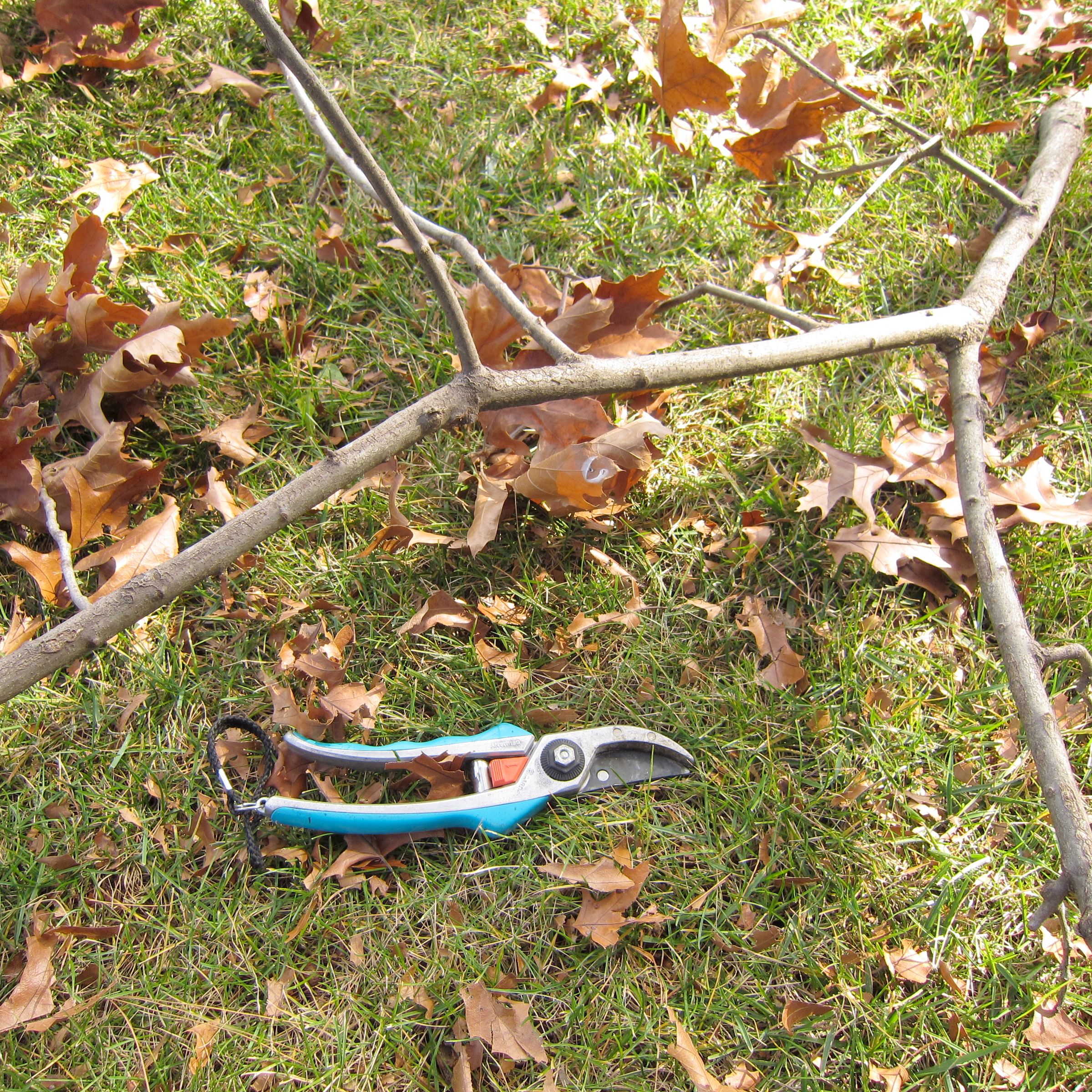 Branch Weaving : 5 Steps (with Pictures) - Instructables