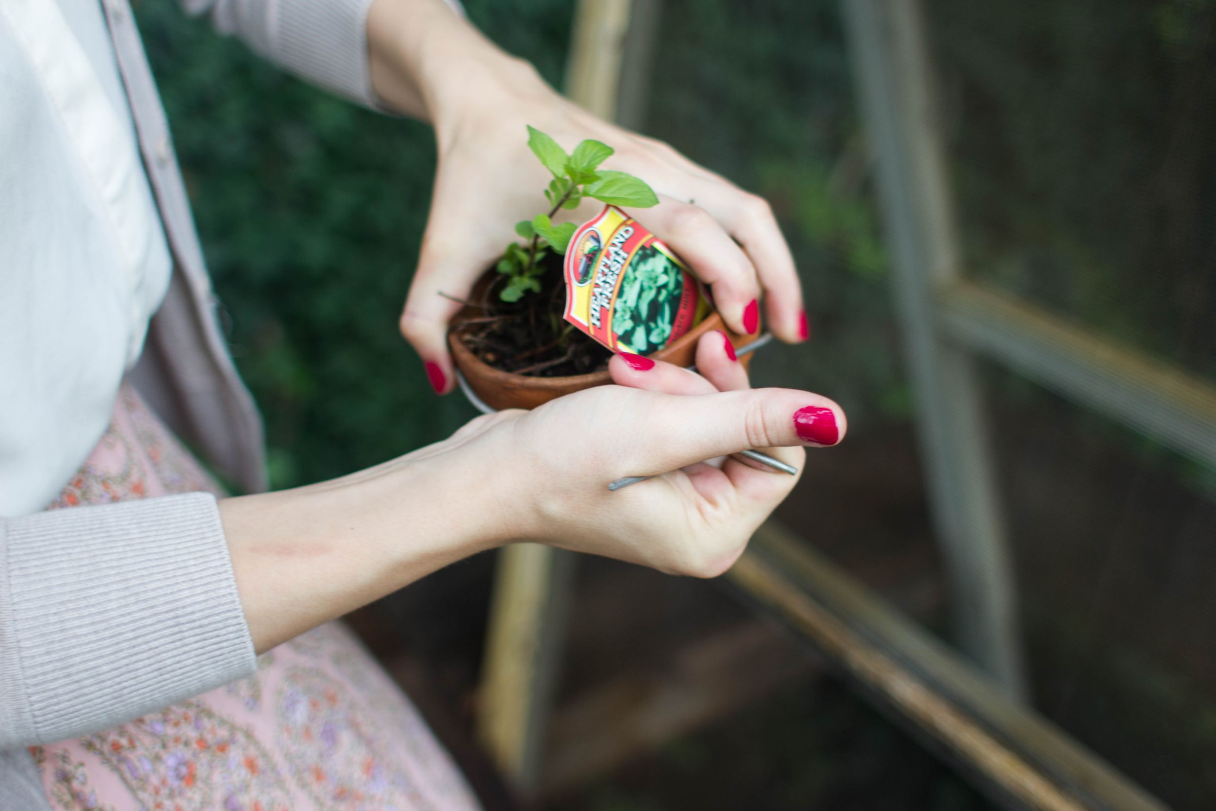 DIY Herb Garden : 5 Steps (with Pictures) - Instructables