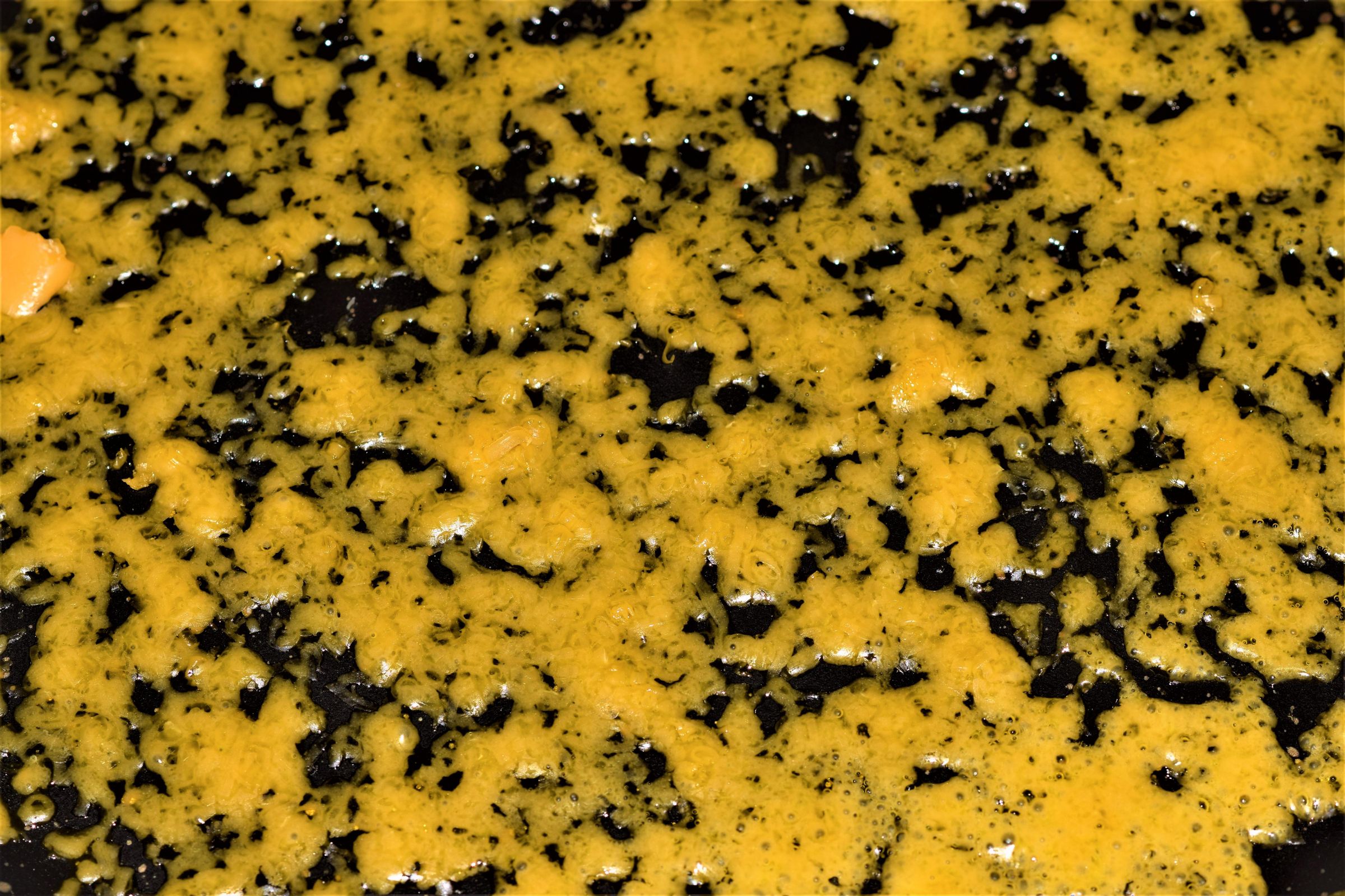 Rainbow Breakfast Cereal Pizza Brittle : 4 Steps (with Pictures ...