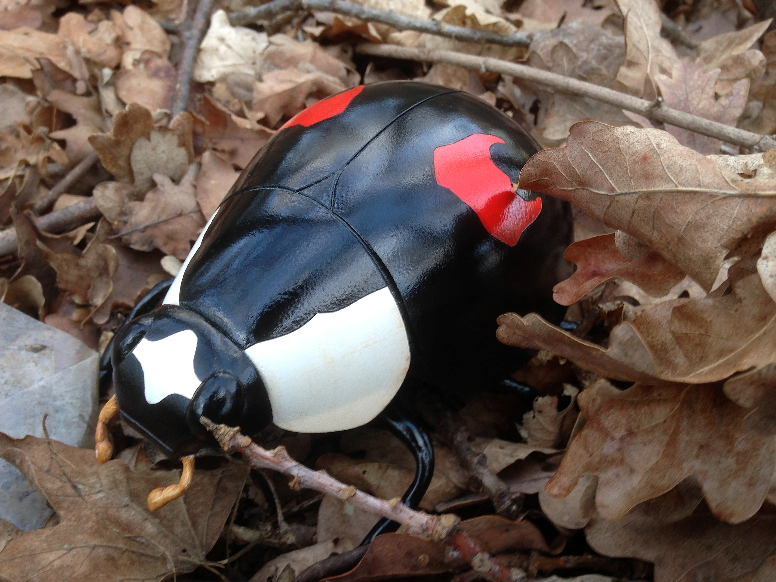 Big Pine Ladybird : 6 Steps (with Pictures) - Instructables