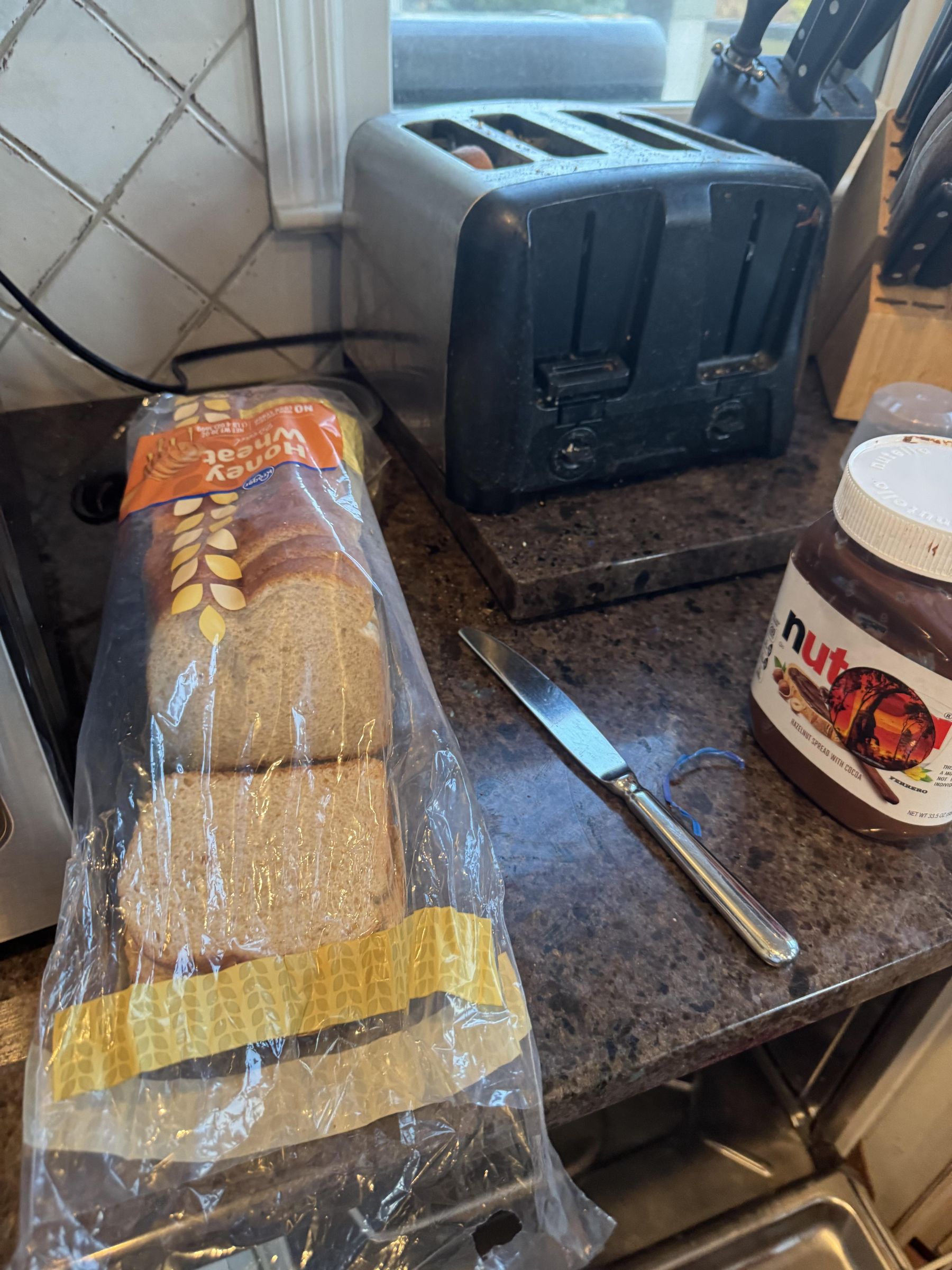 Toasted Nutella Sandwich : 6 Steps - Instructables