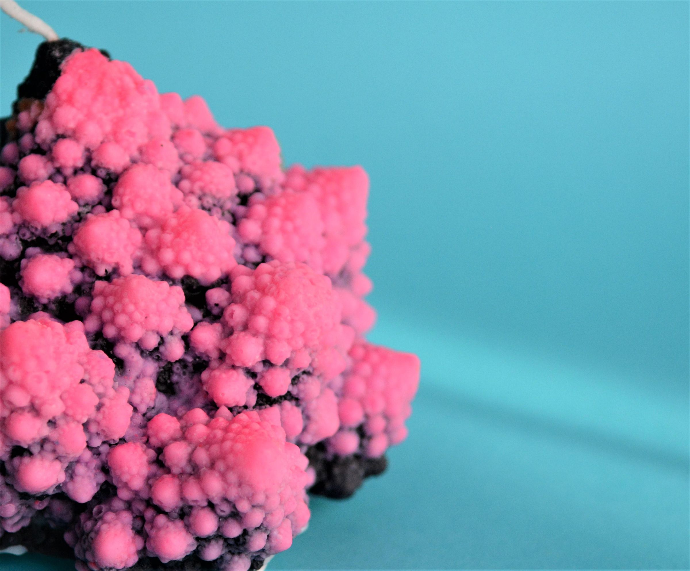 Turn Romanesco Broccoli Into a Candle : 17 Steps (with Pictures ...