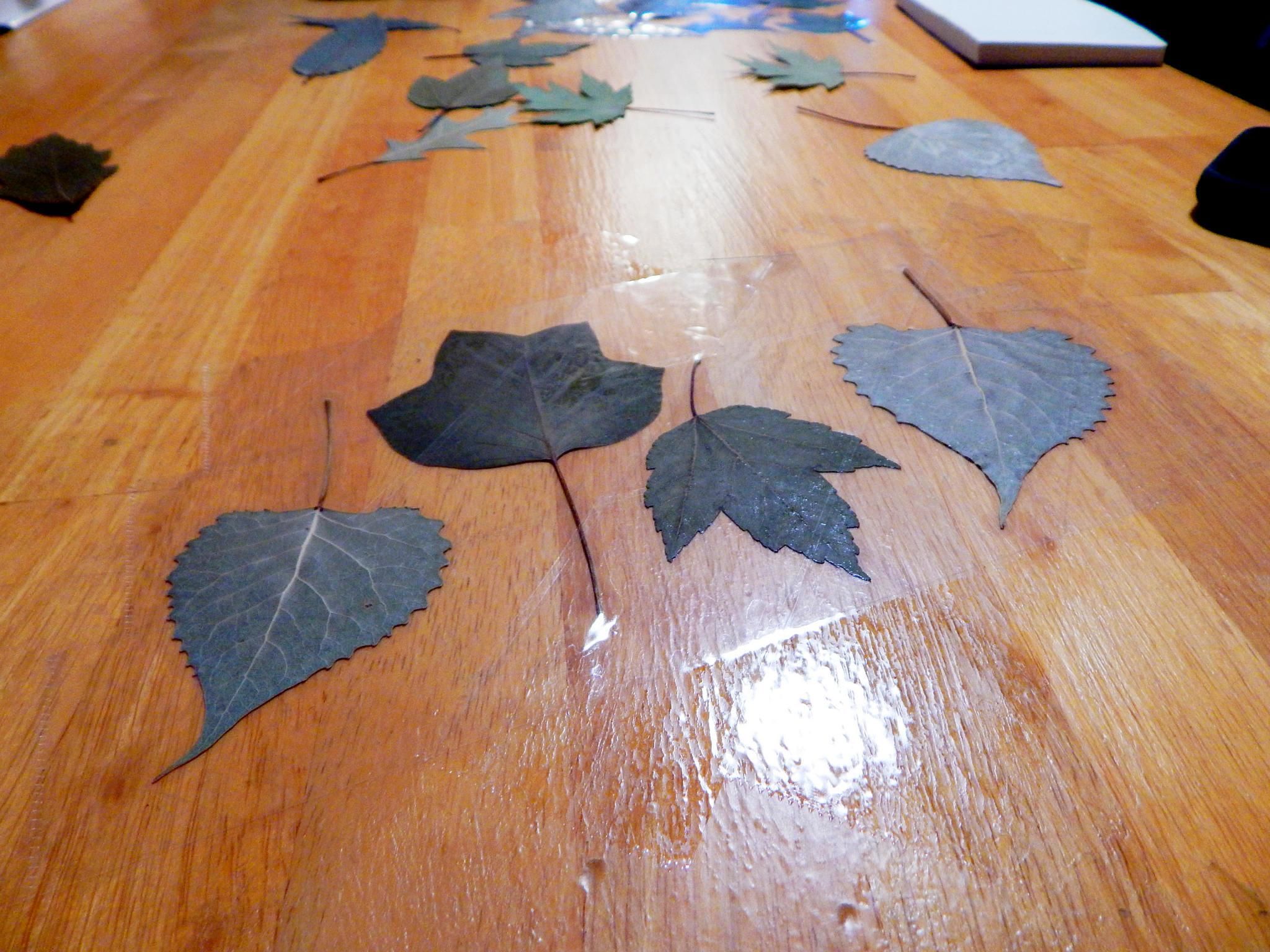 DIY Laminated Leaf Bookmarks : 4 Steps (with Pictures) - Instructables