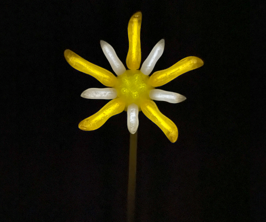 Night Blossom: the Radioactive Flower That Glows for 30+ Years : 9 ...