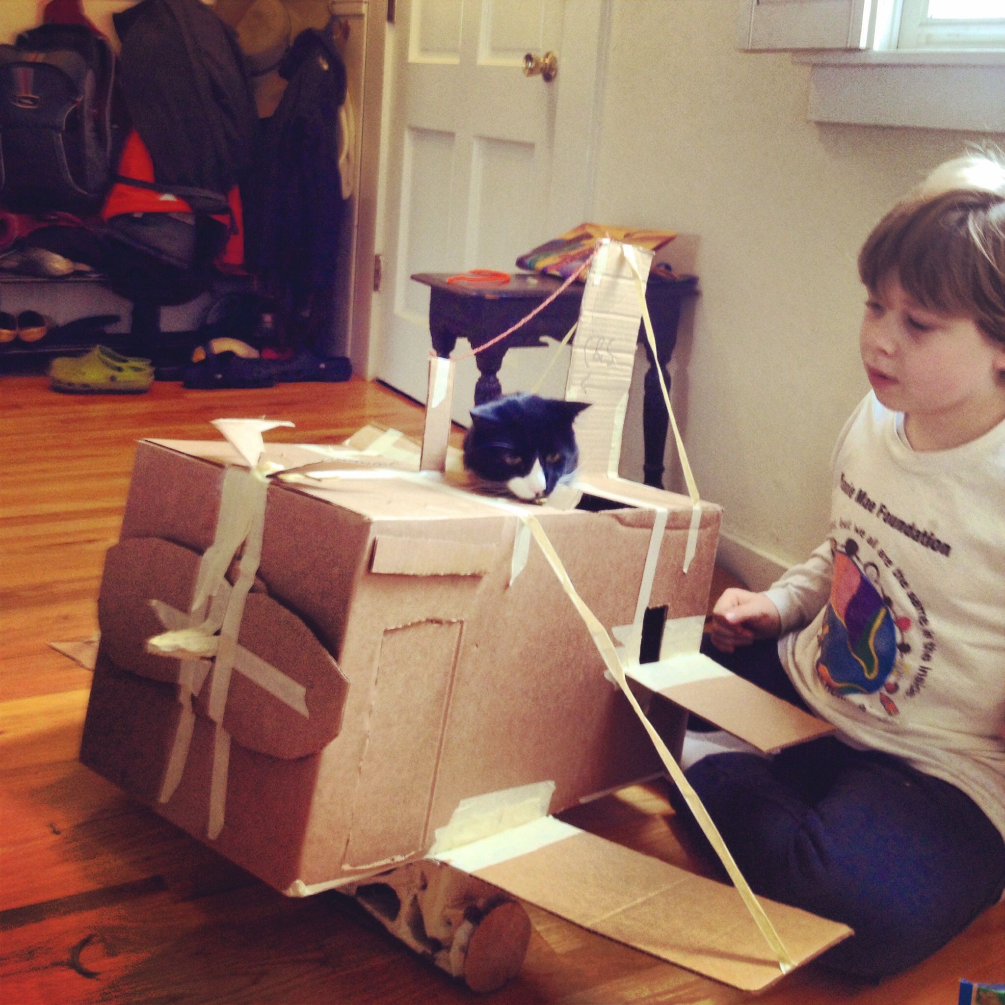 How to Build a Cardboard Cat Aircraft : 6 Steps - Instructables