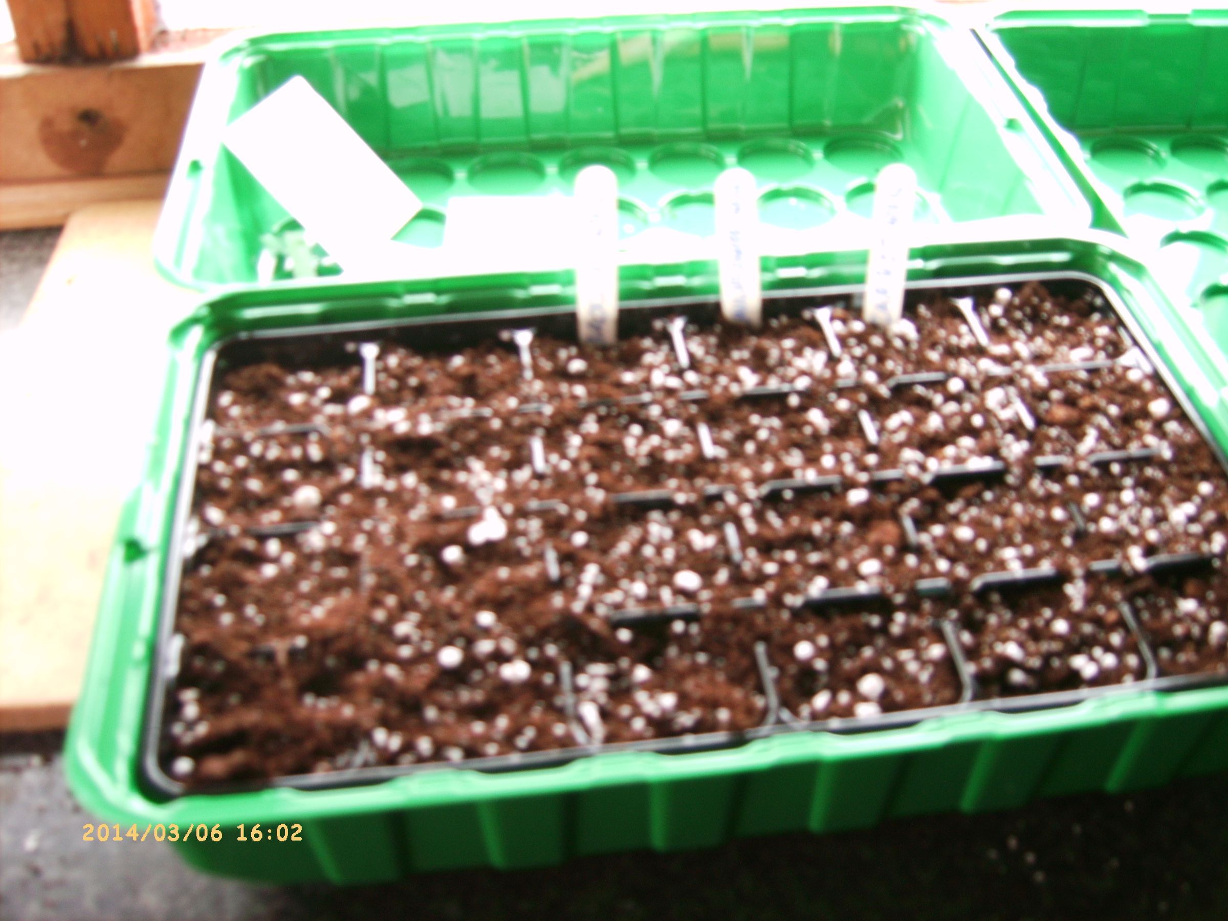 Need for Seed : 7 Steps - Instructables