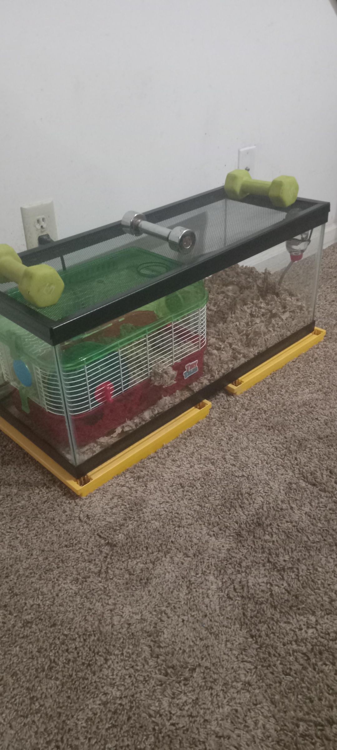 DIY Snake Cage : 12 Steps (with Pictures) - Instructables