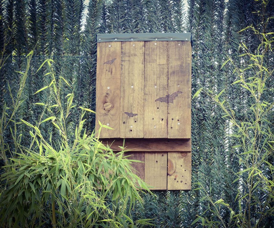 Bat House From Pallet : 7 Steps (with Pictures) - Instructables