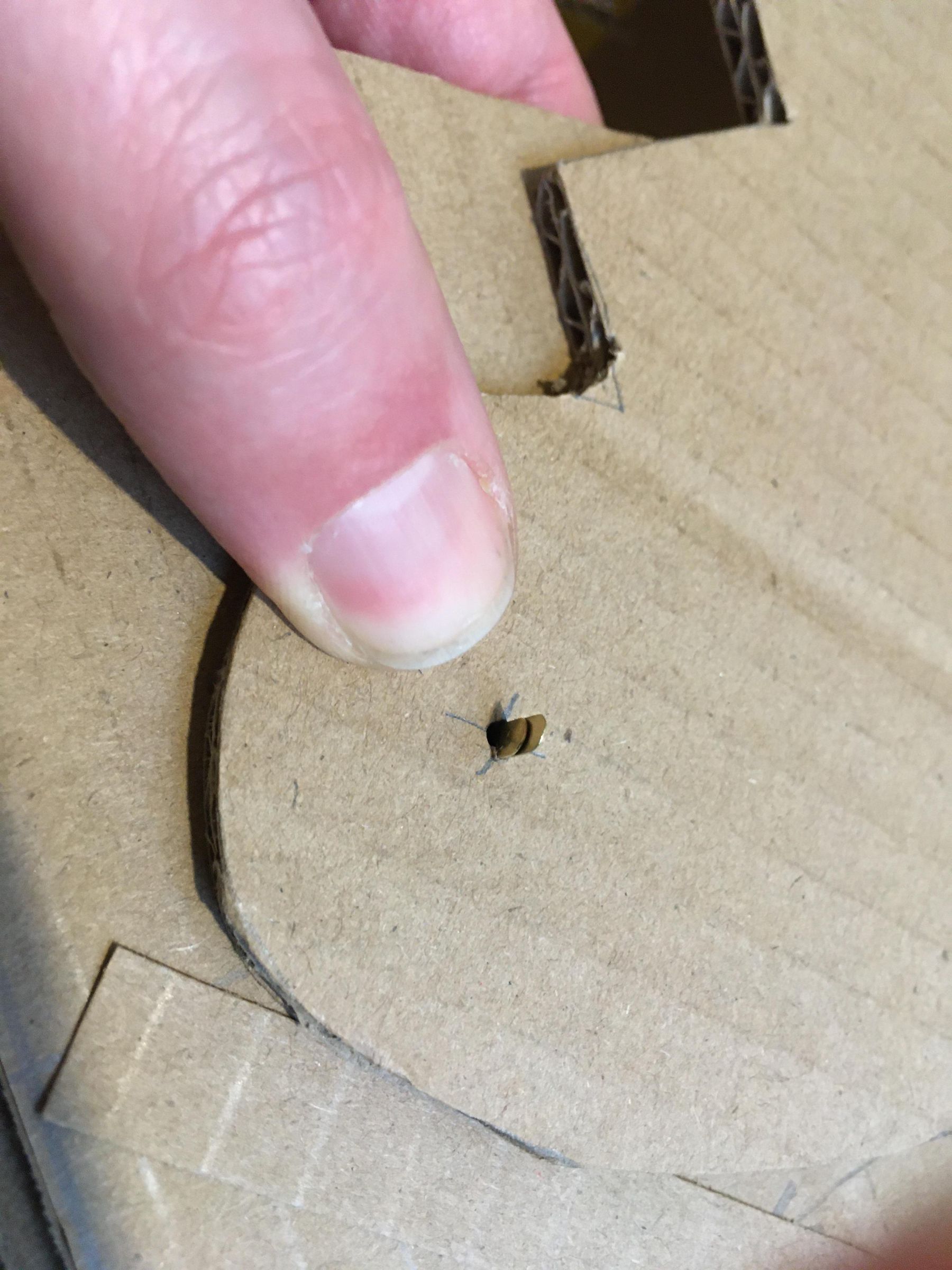 DinoScope: Dinosaur Periscope - Made From Cardboard! : 33 Steps (with ...